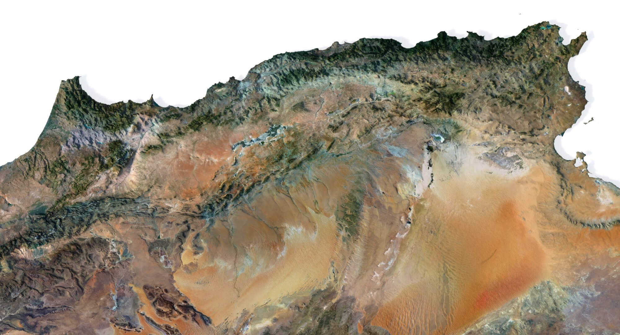 Africa Terrain 3D Map by Shustrik