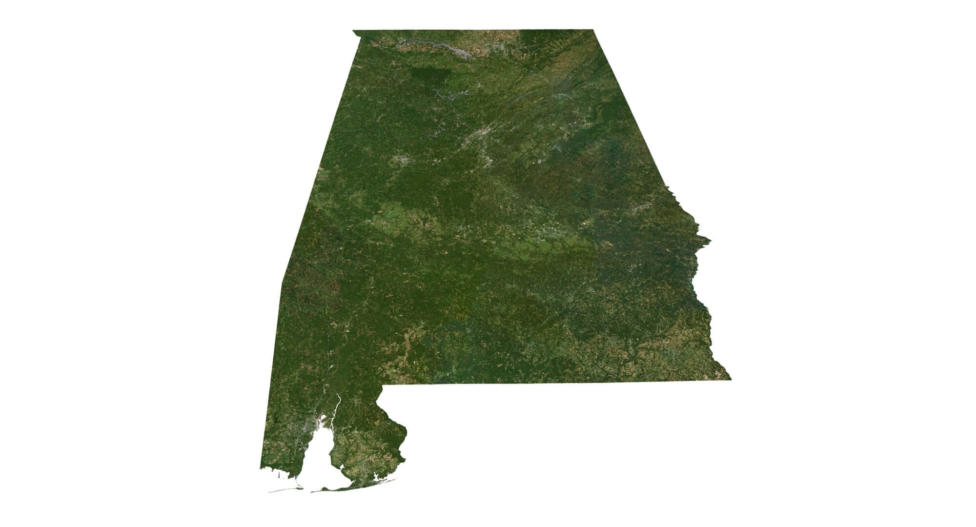 Alabama State Terrain 3D Map by Shustrik