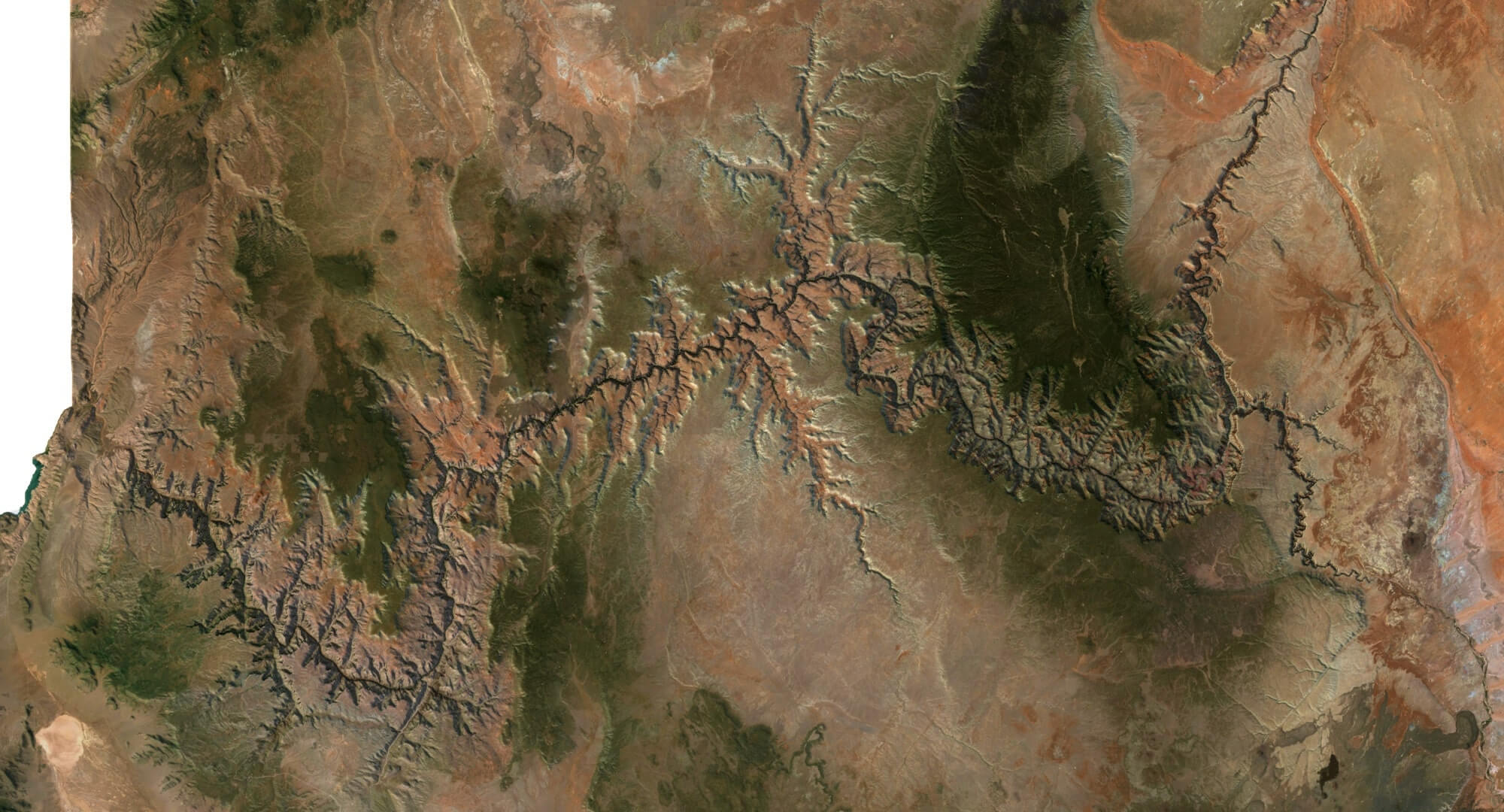 Arizona State Terrain 3D Map by Shustrik