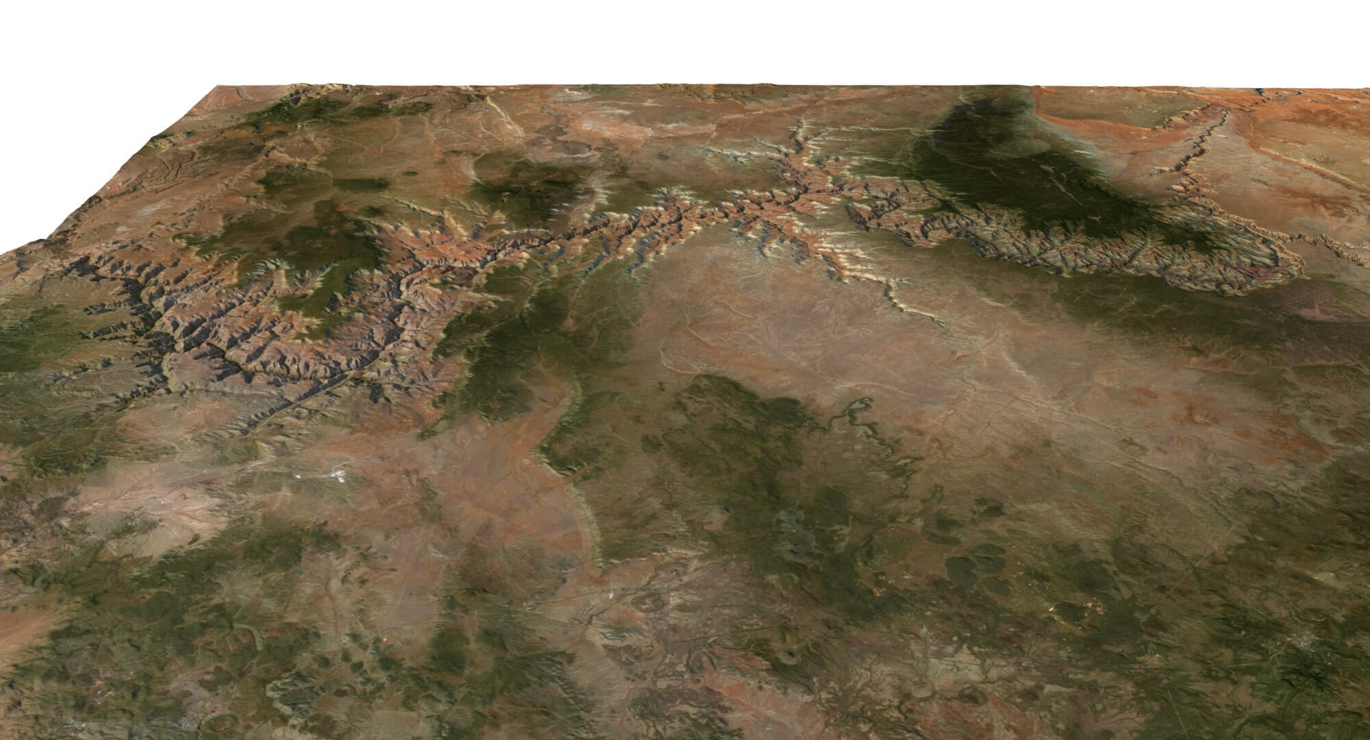 Arizona State Terrain 3D Map by Shustrik