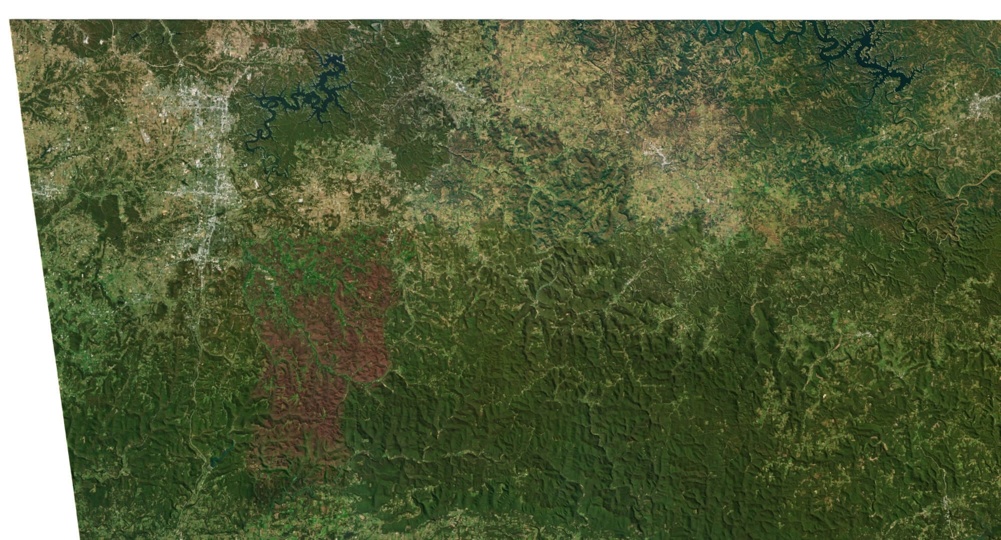Arkansas State Terrain 3D Map by Shustrik