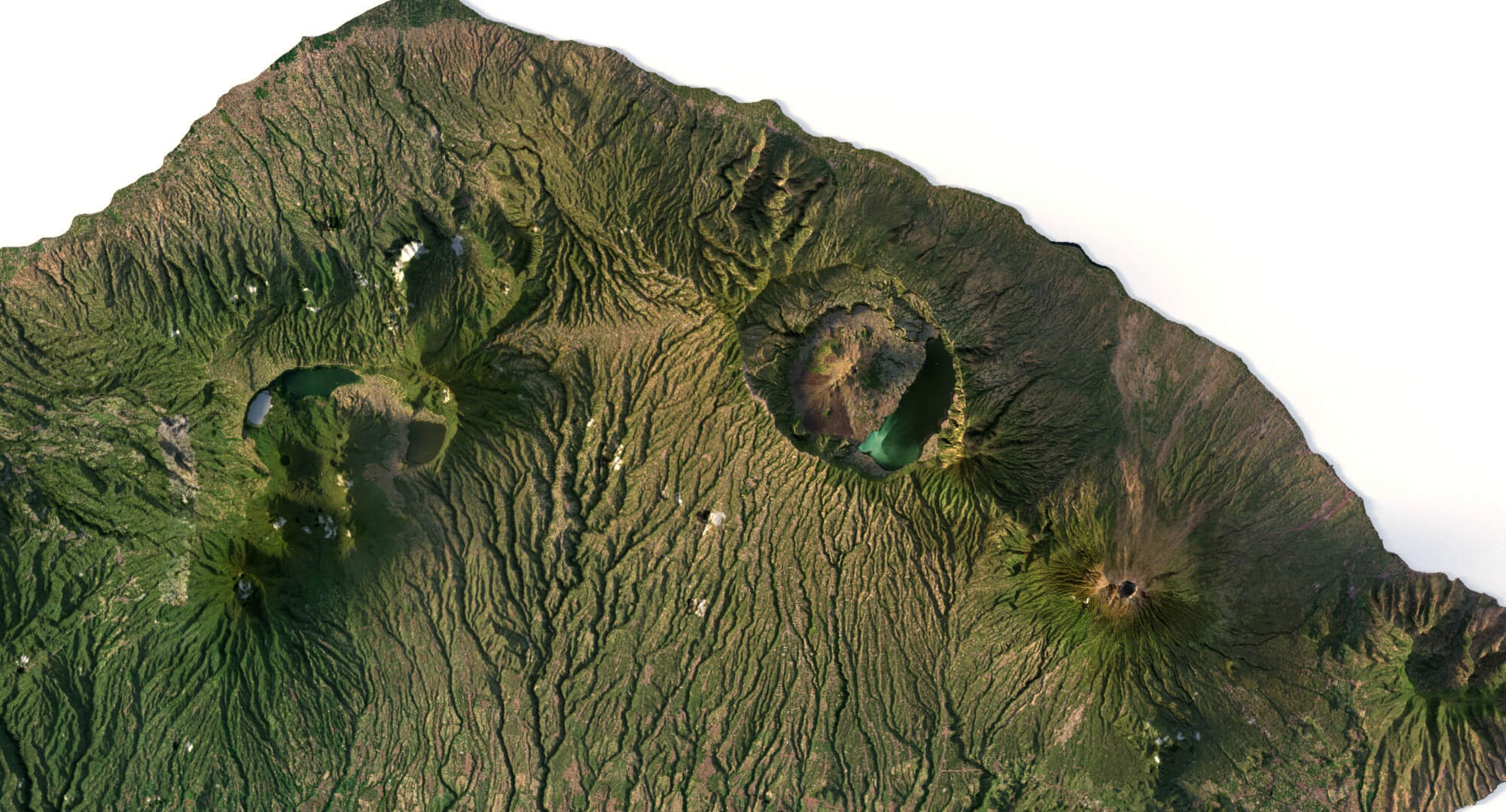 Bali Terrain - 3D Model by Shustrik