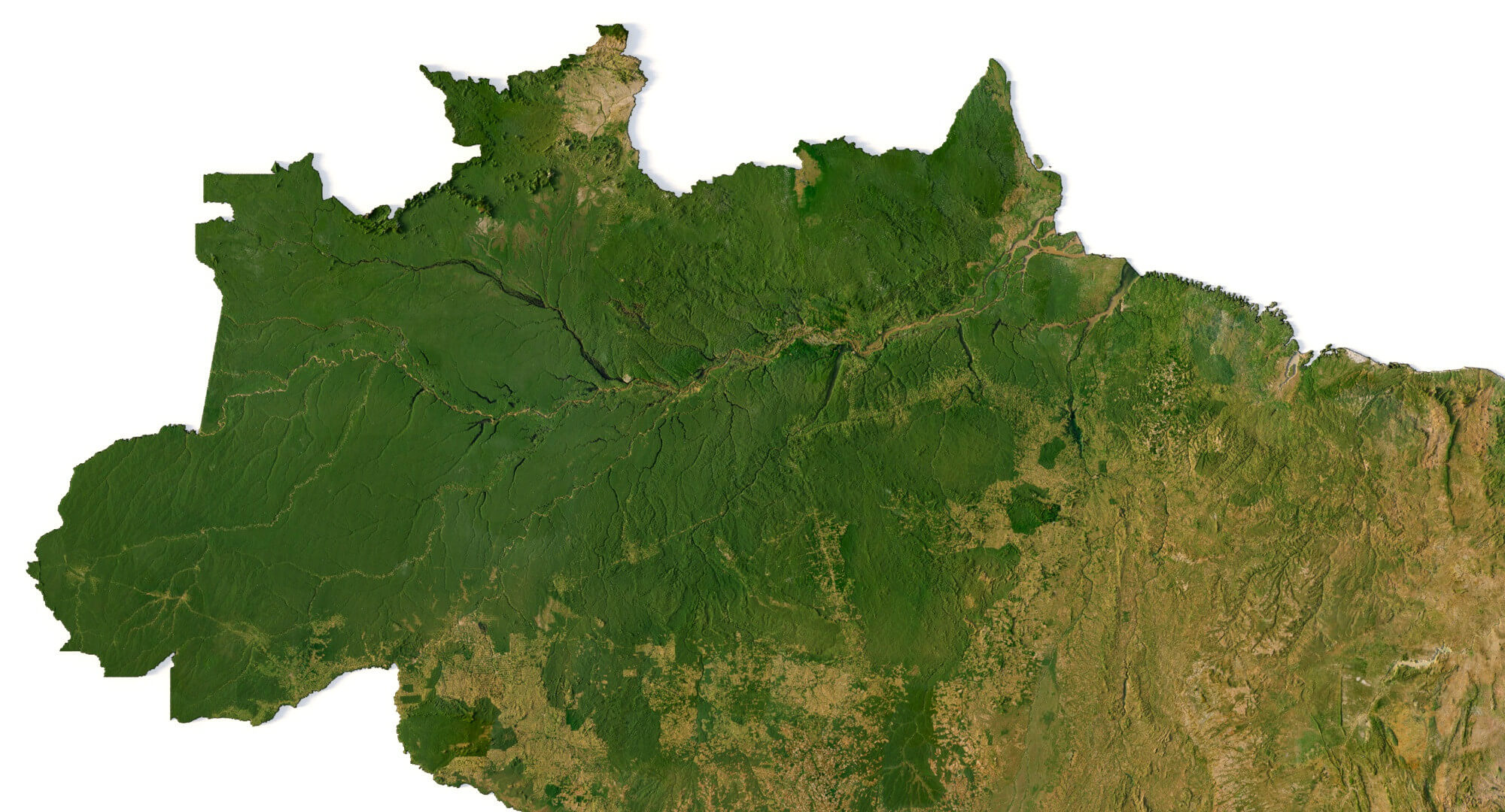 Brazil Terrain - 3D Model by Shustrik