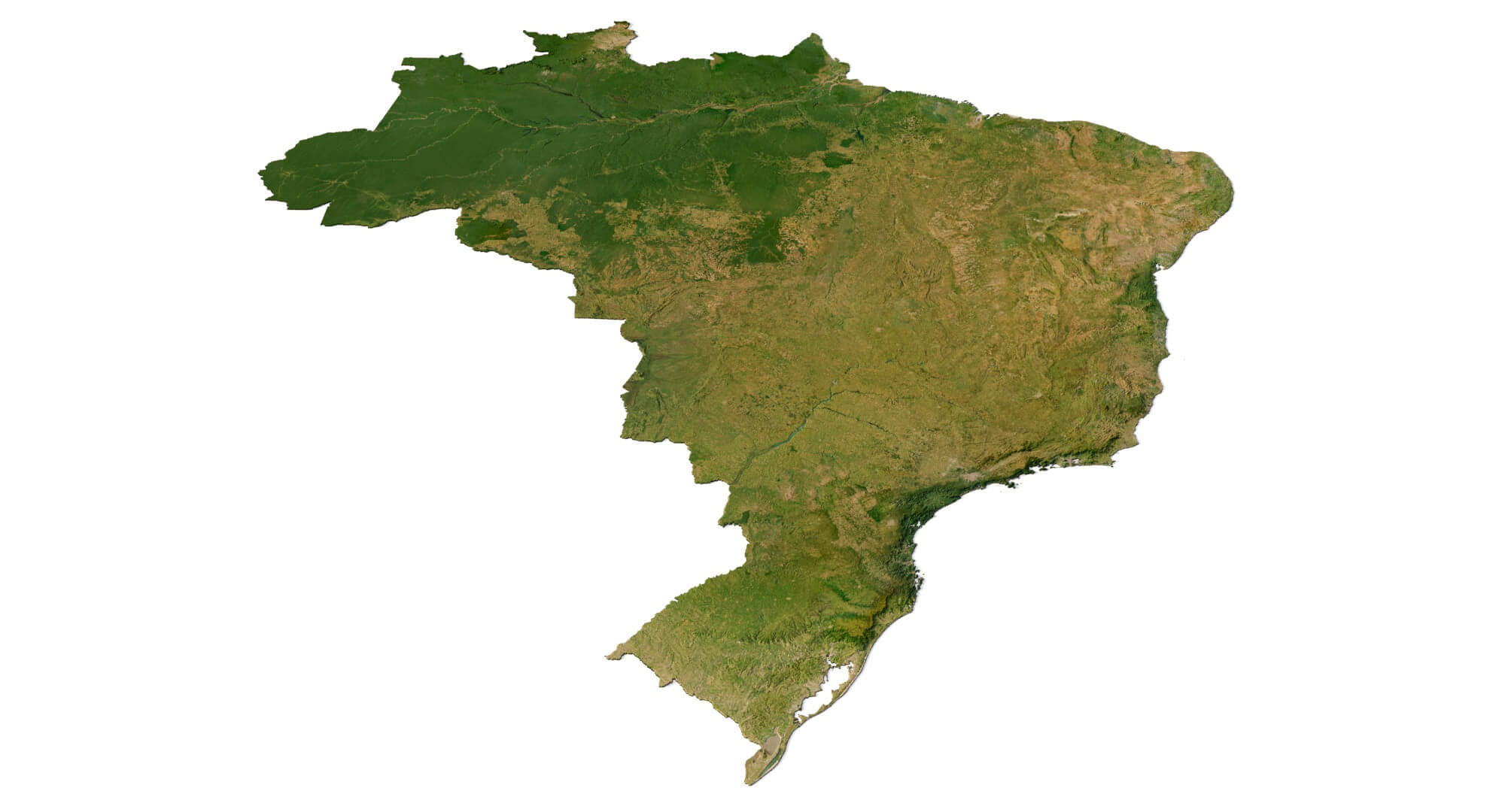 Brazil Terrain - 3D Model by Shustrik