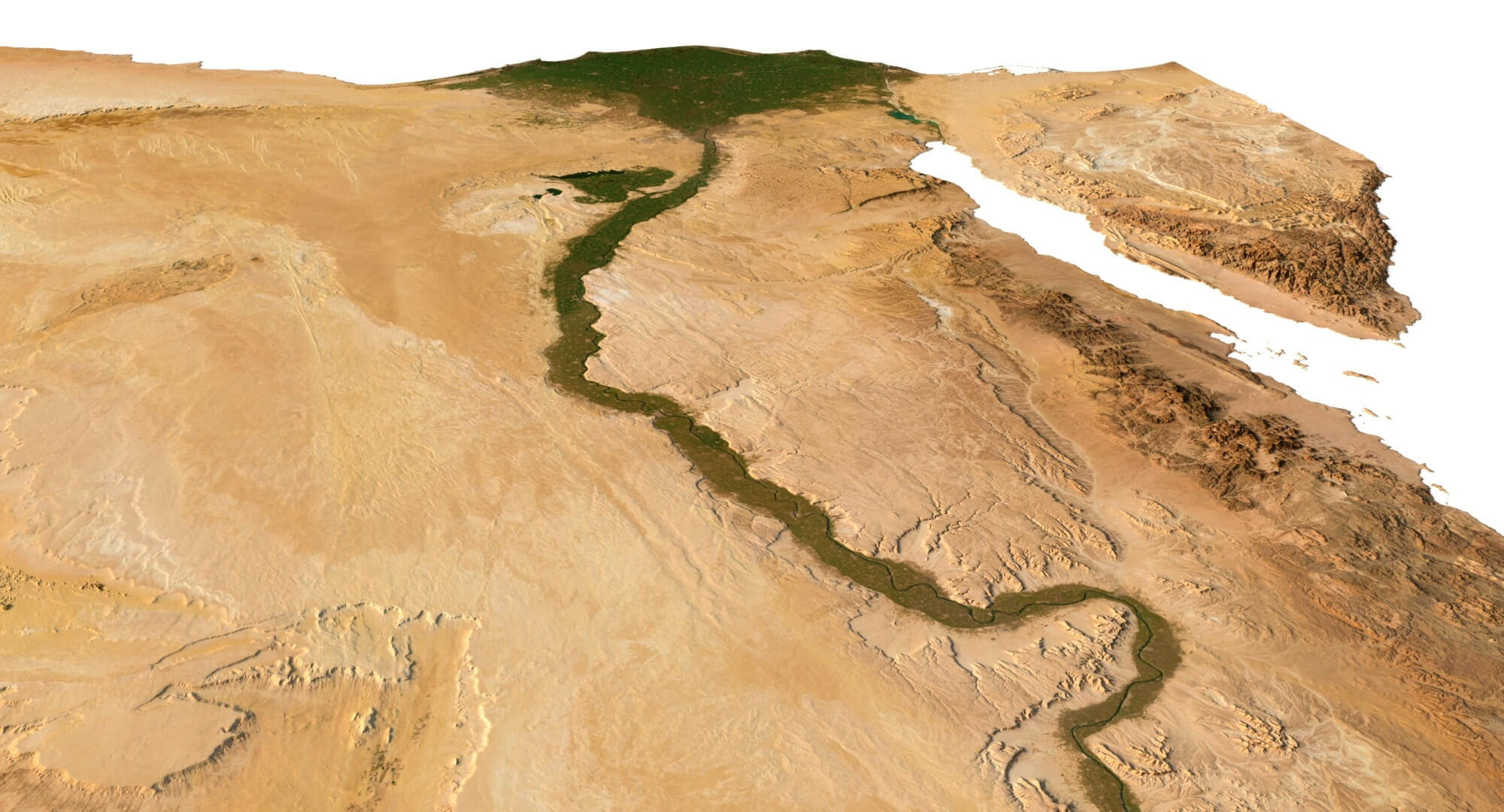 Egypt Terrain 3D Map by Shustrik