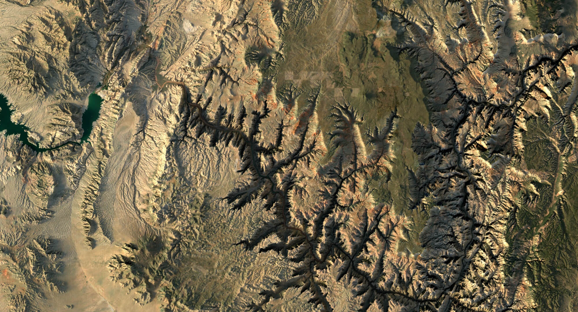 Grand Canyon Terrain - 3D Model by Shustrik