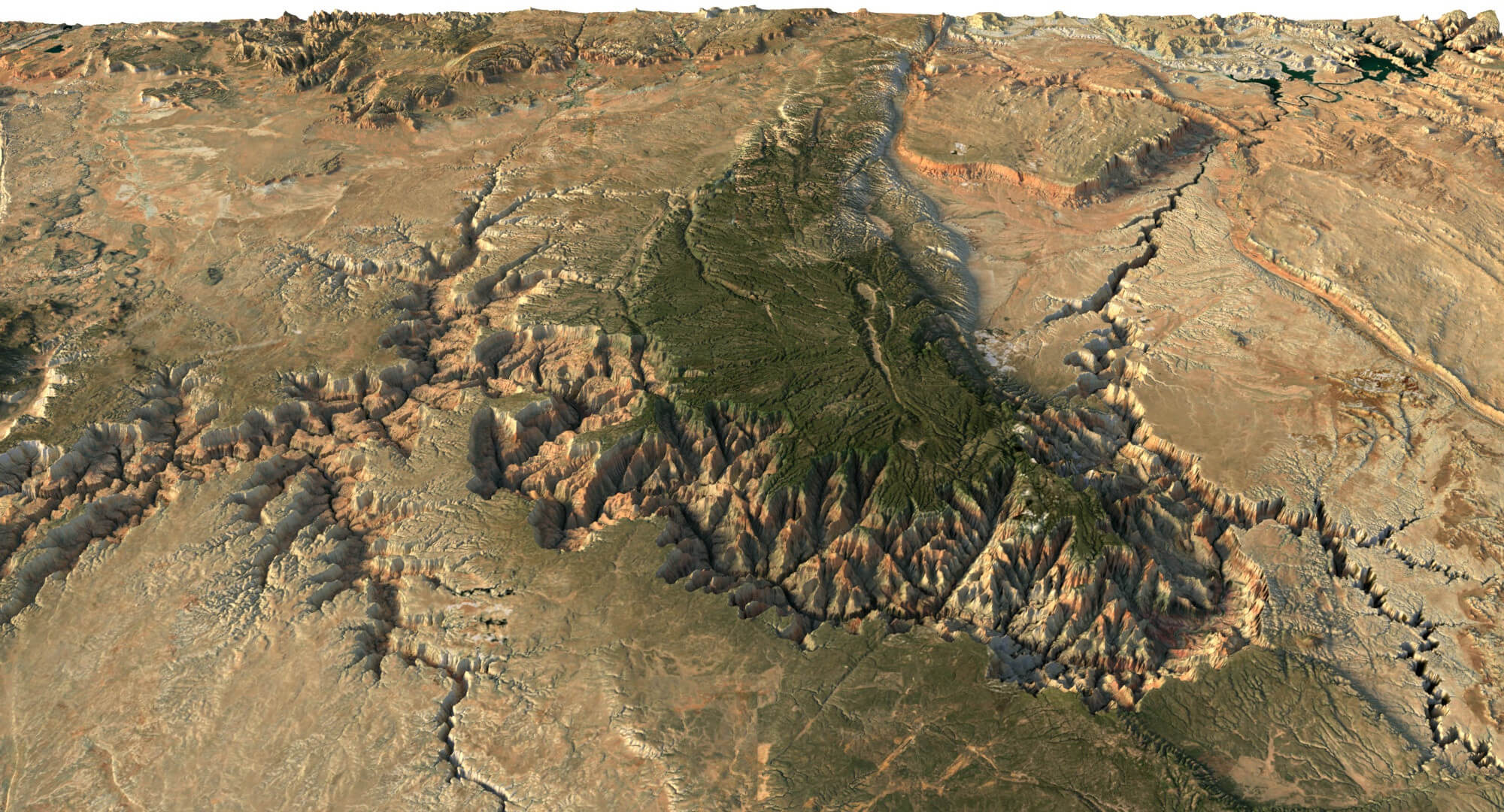 Grand Canyon Terrain - 3D Model by Shustrik