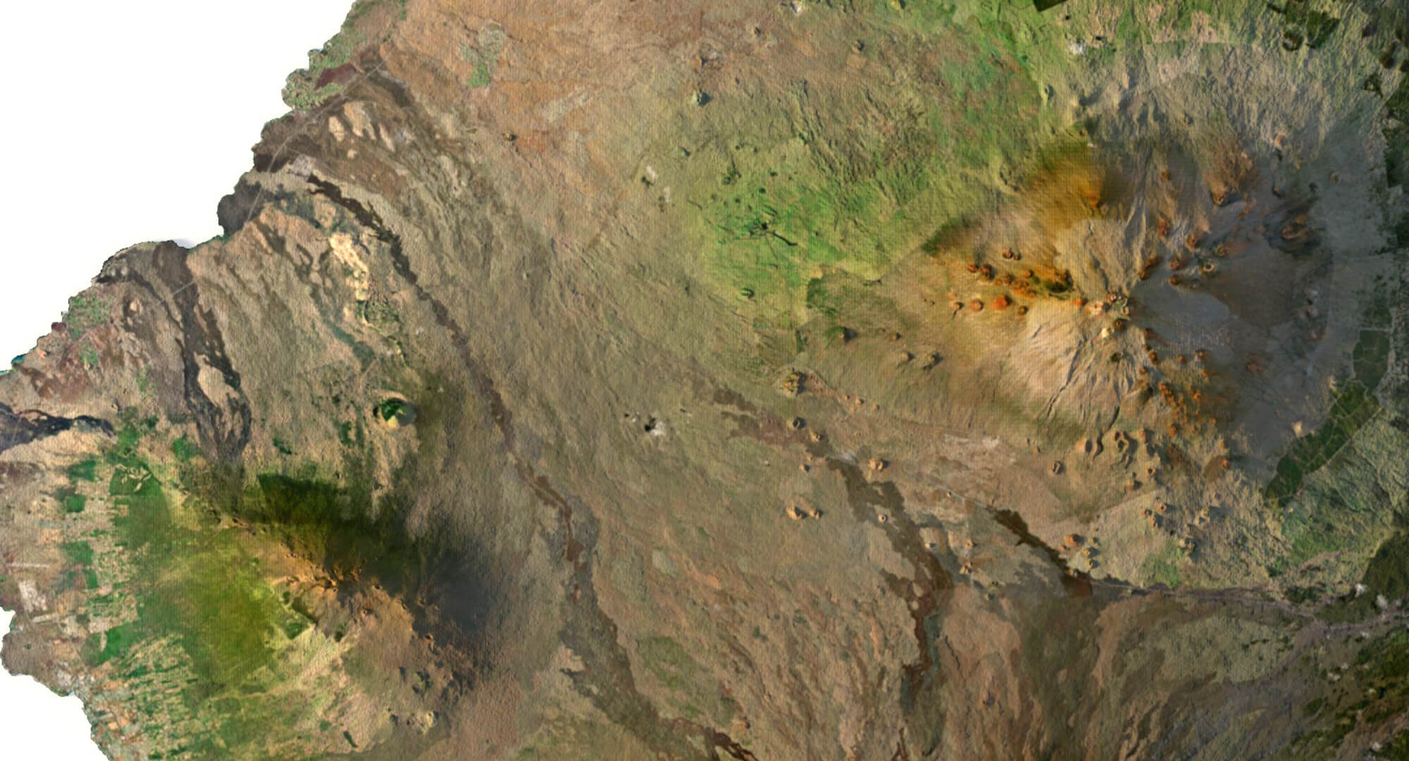 Hawaii Terrain - 3D Model by Shustrik