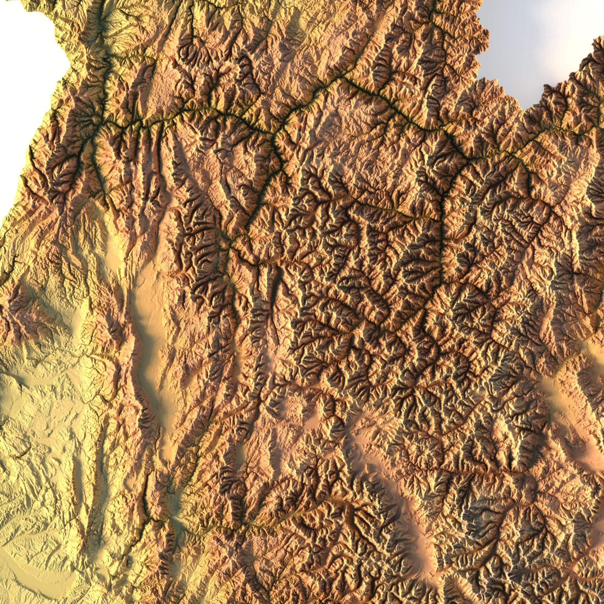 Idaho Topographic Map Stl Model by Shustrik