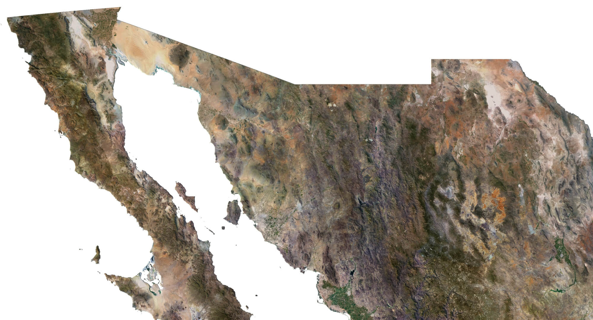 Mexico Terrain 3D Map by Shustrik