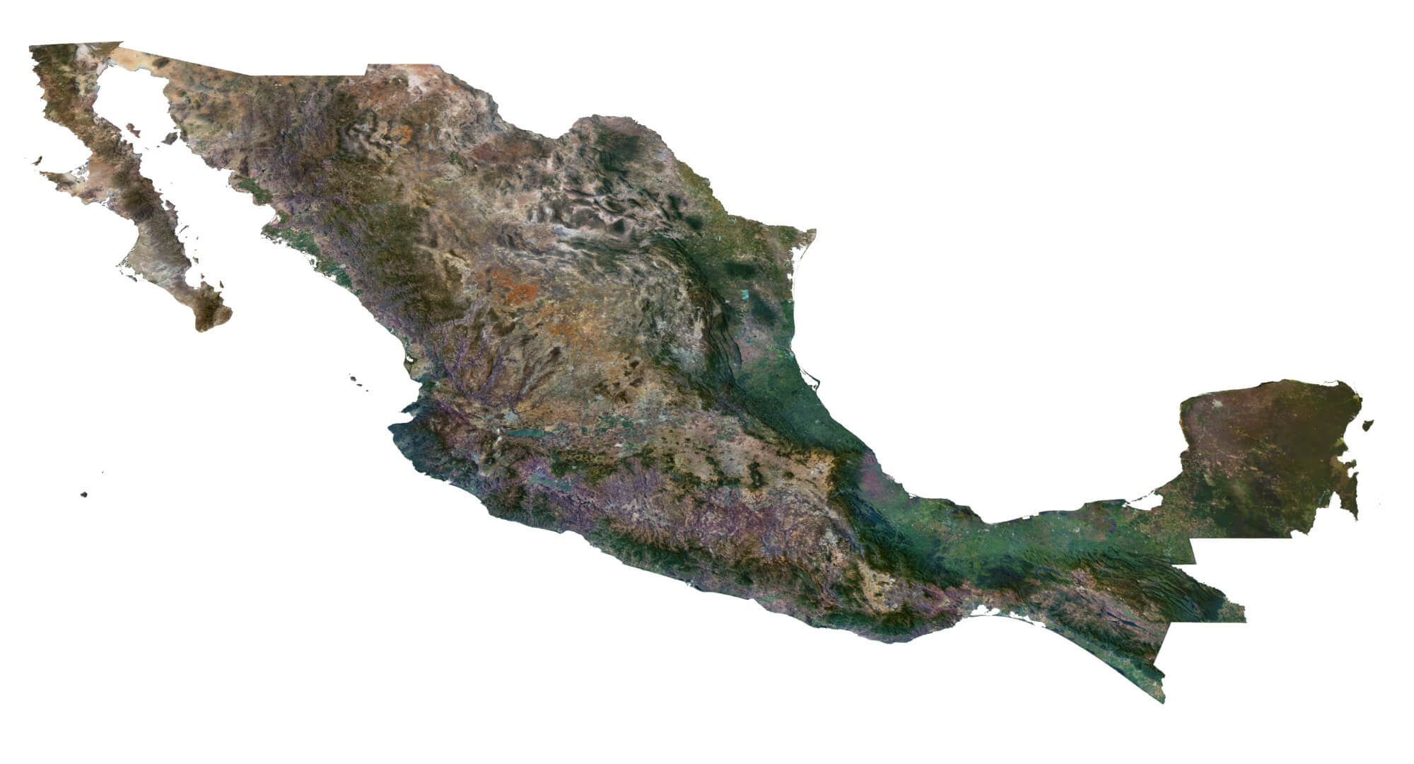 Mexico Terrain 3D Map by Shustrik