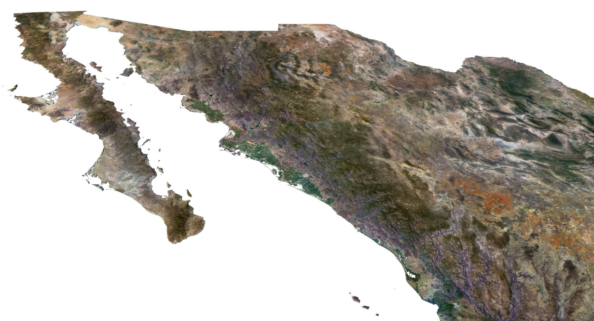 Mexico Terrain 3D Map by Shustrik