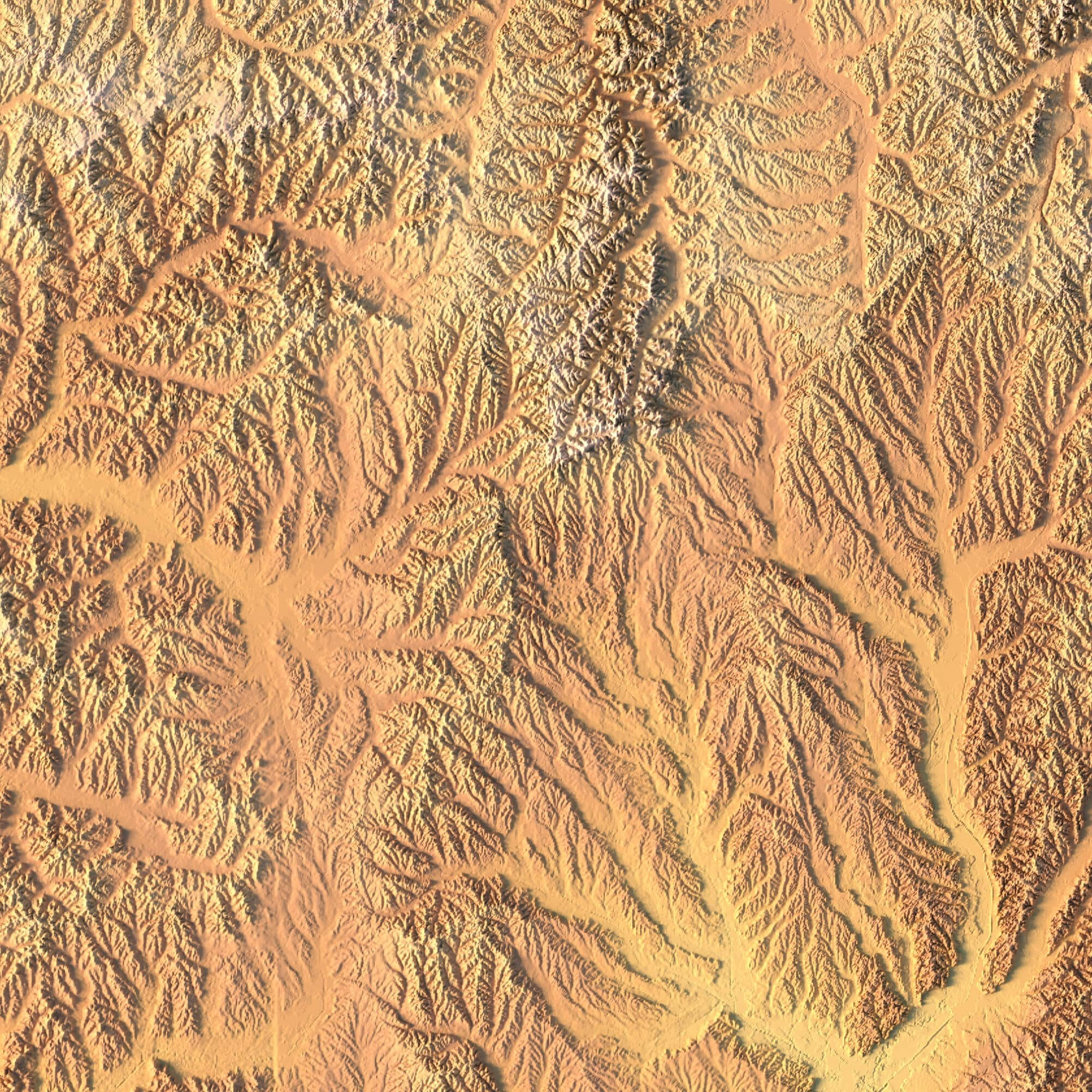 Mississippi Topographic Map Stl Model by Shustrik