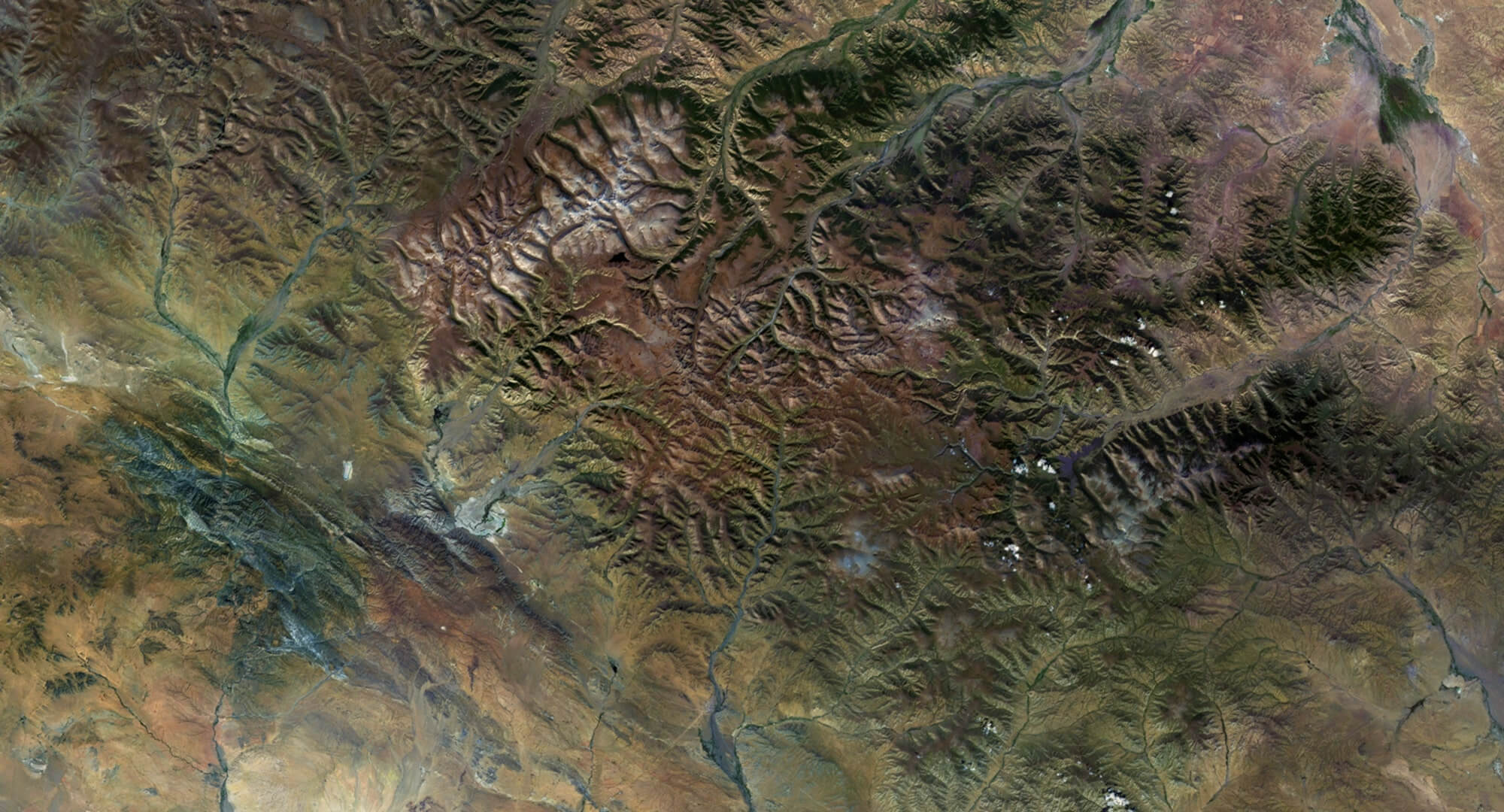 Mongolia Terrain 3D Map by Shustrik