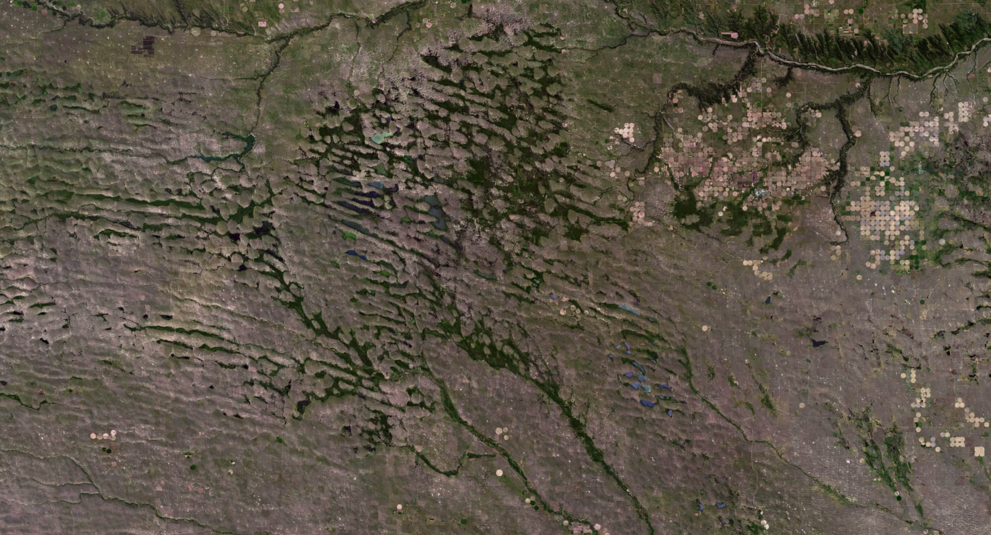 Nebraska State Terrain 3D Map by Shustrik