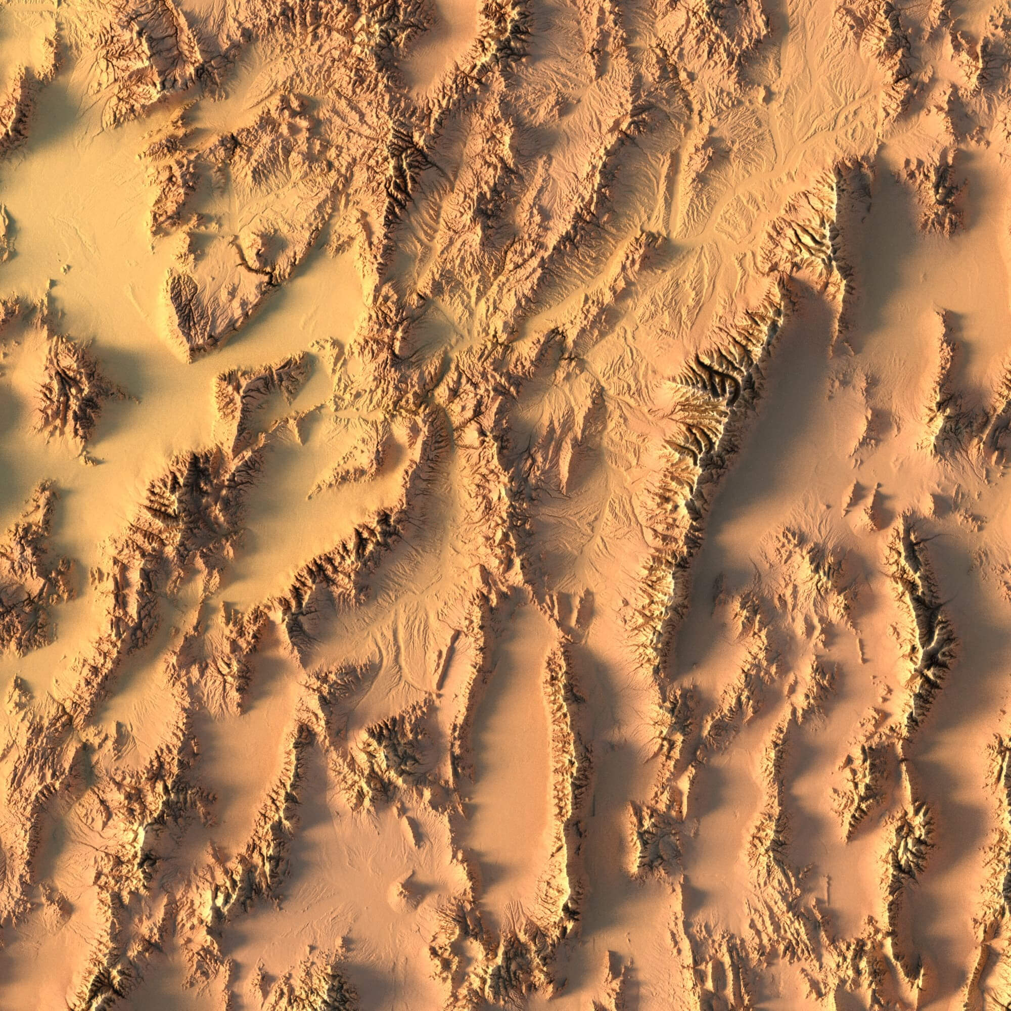 Nevada Topographic Map Stl Model by Shustrik