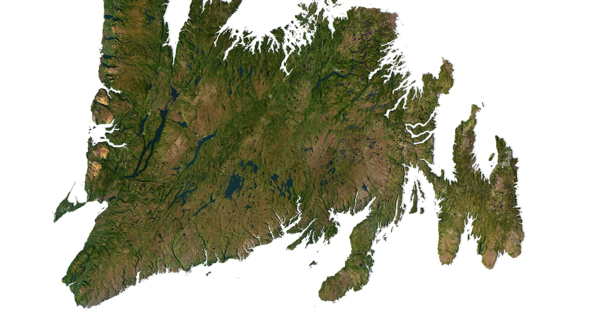 Newfoundland and Labrador Terrain 3D Map by Shustrik