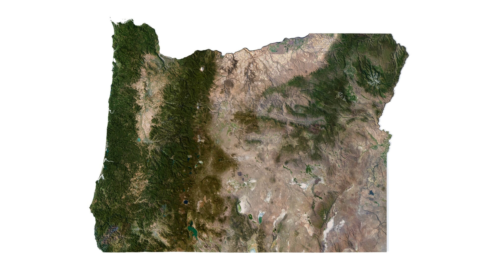 Oregon State Terrain 3D Map by Shustrik