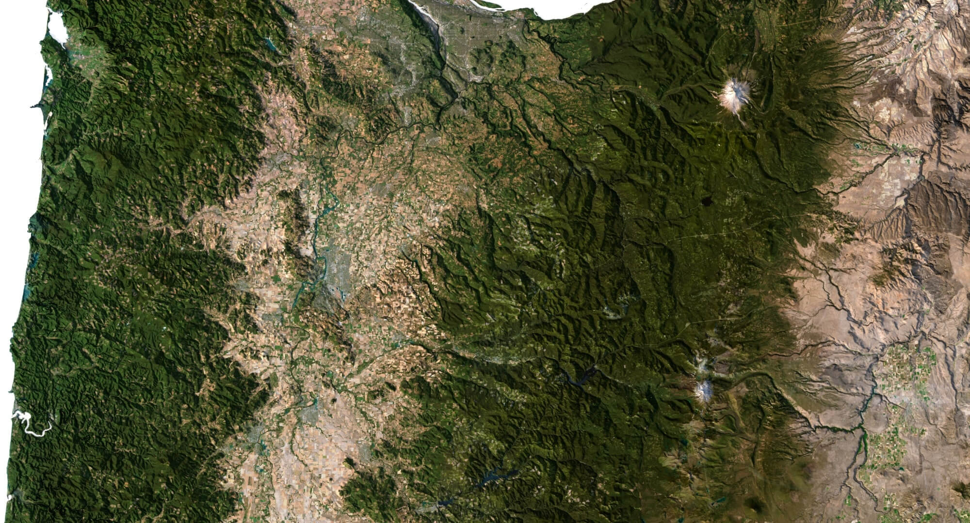 Oregon State Terrain 3D Map by Shustrik