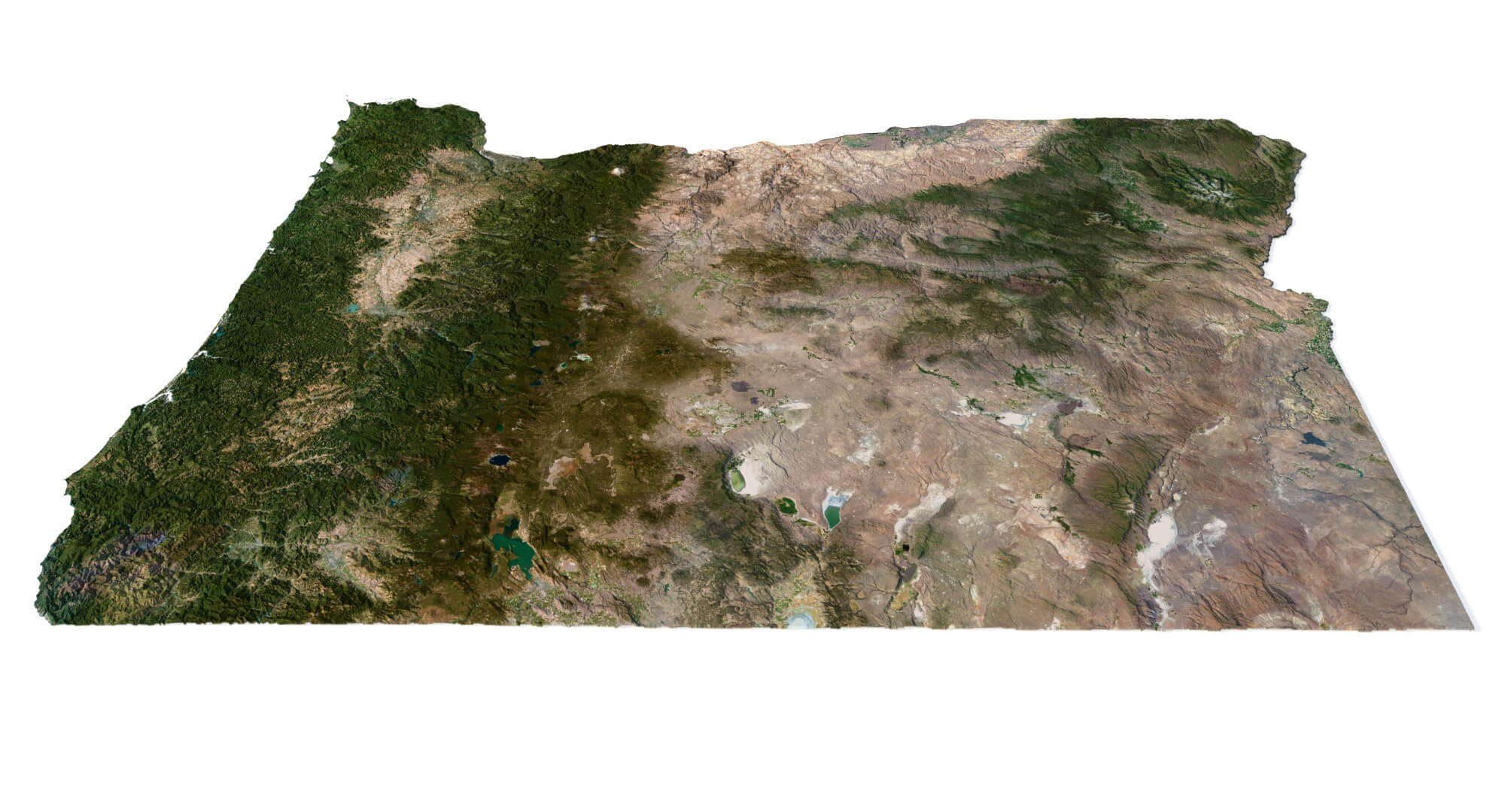 Oregon State Terrain 3D Map by Shustrik