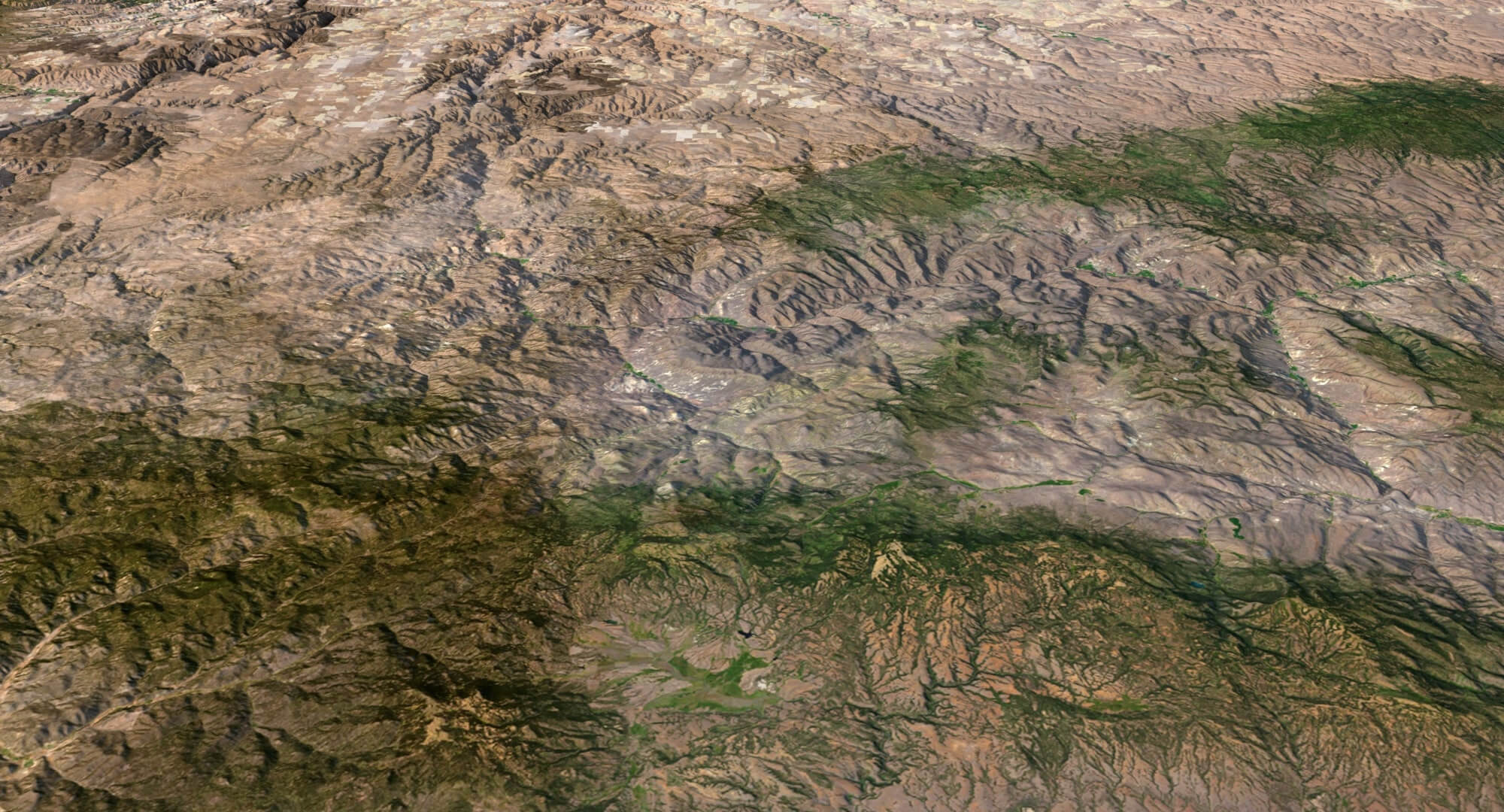 Oregon State Terrain 3D Map by Shustrik