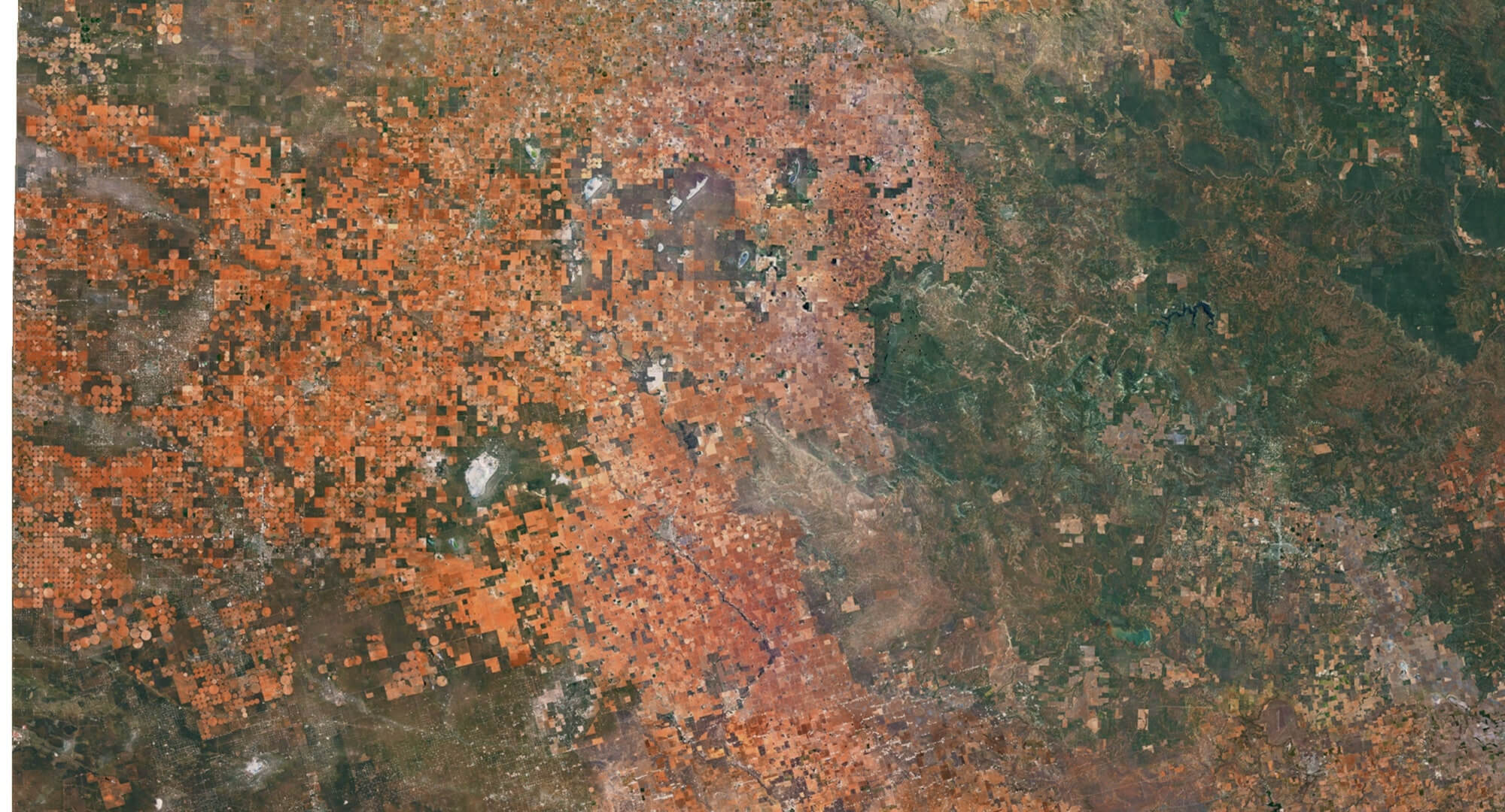 Texas State Terrain 3D Map by Shustrik