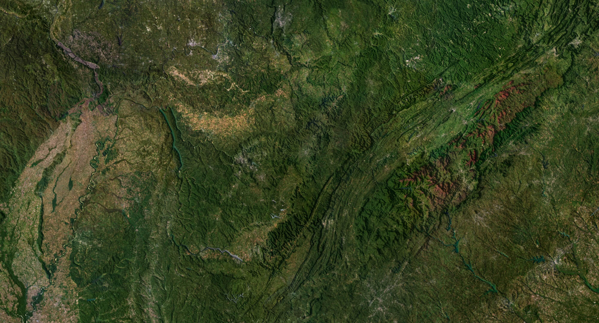 United States Terrain 3D Map by Shustrik