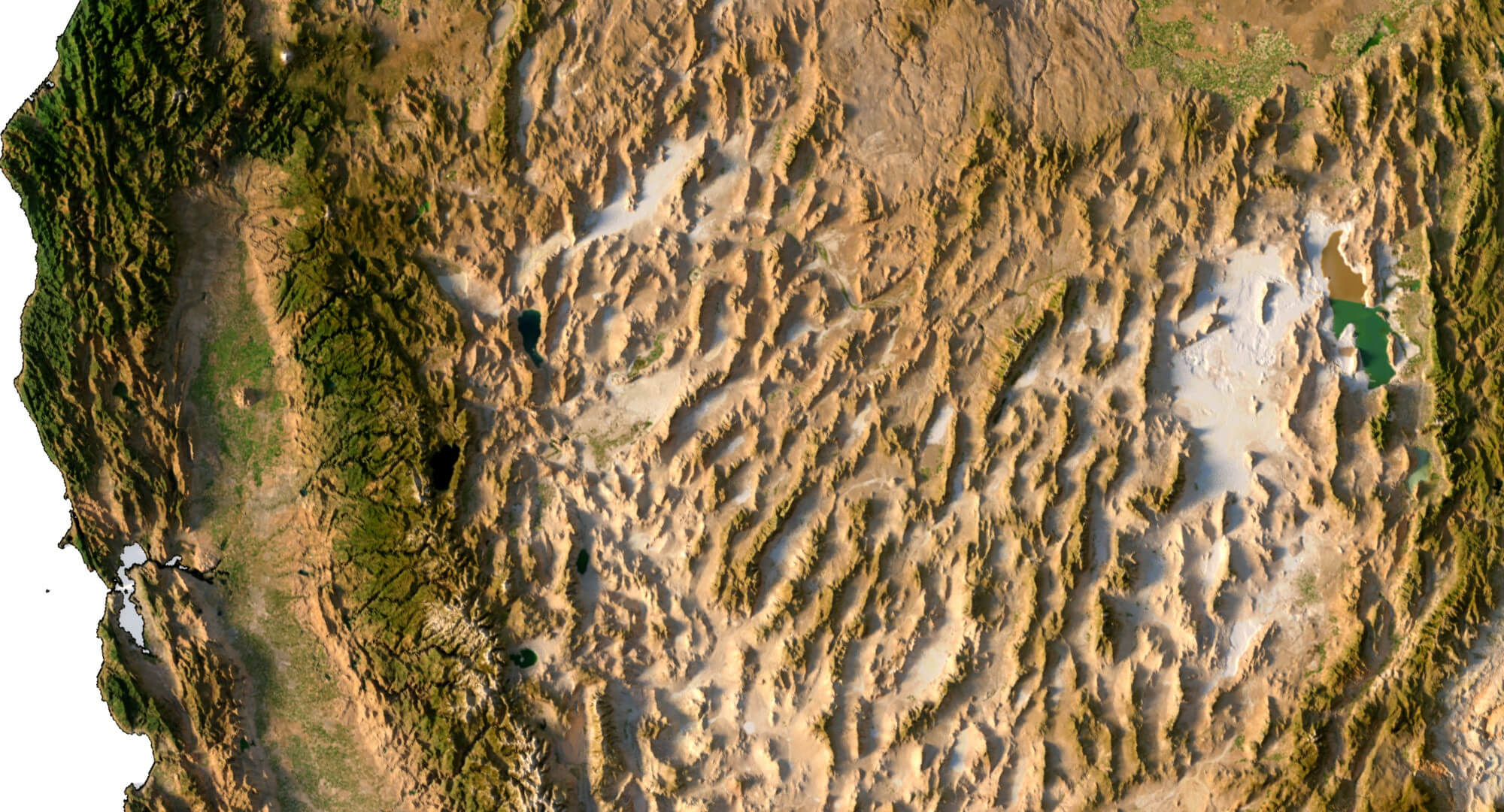 United States Terrain - 3D Model by Shustrik