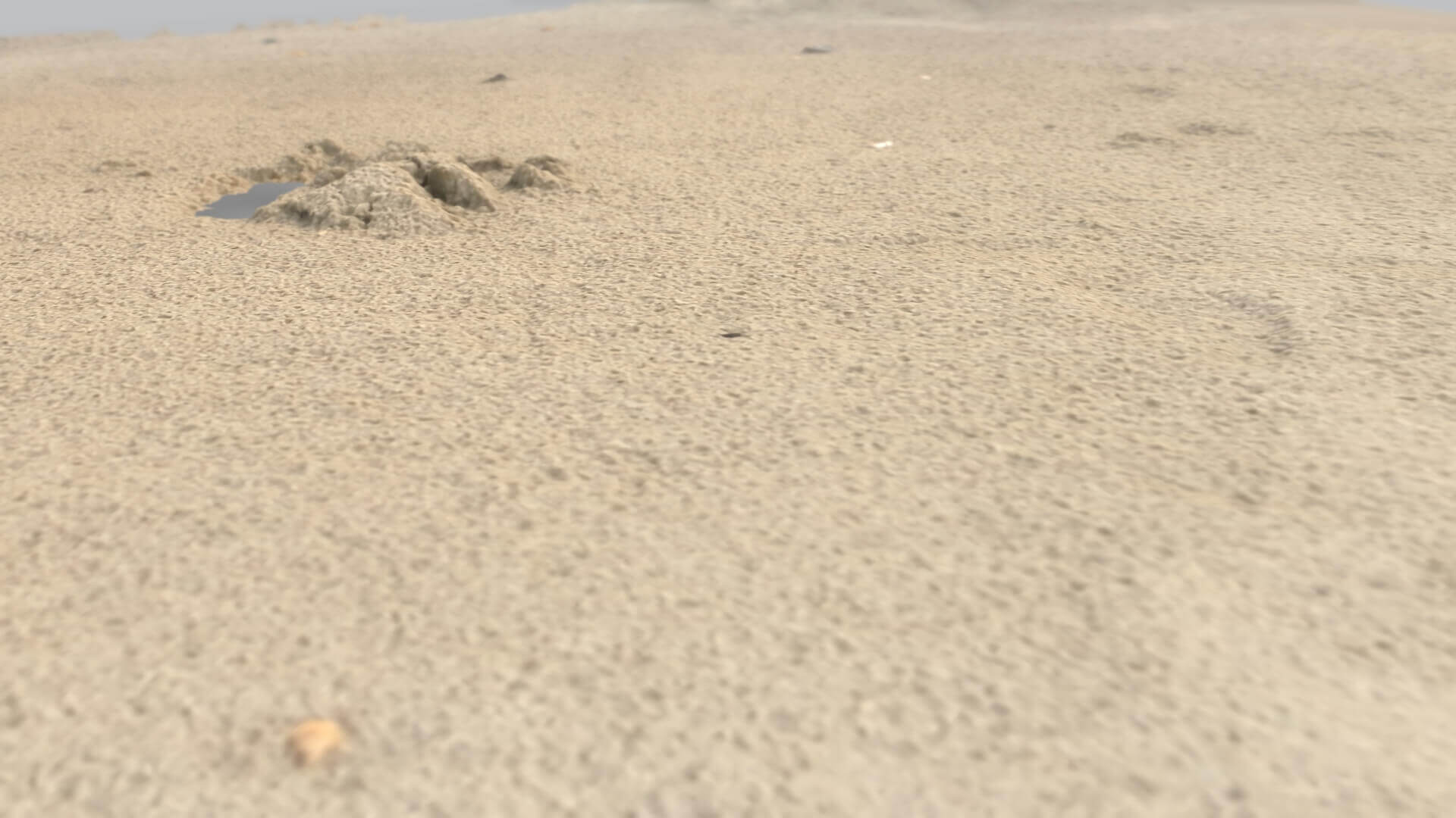 Beach Sand Patch Clean - 3D Model by silverxlb