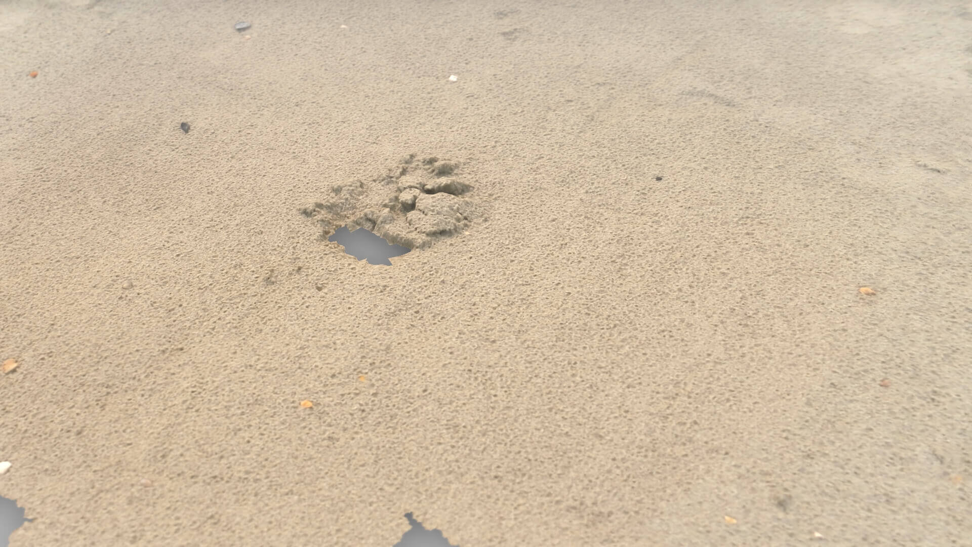 Beach Sand Patch Clean - 3D Model by silverxlb