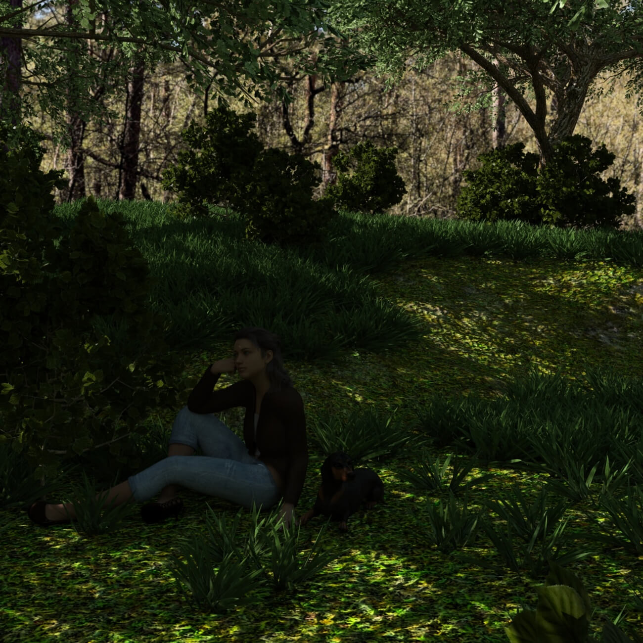 Forest Environment - Daz Content by Silvia Helena