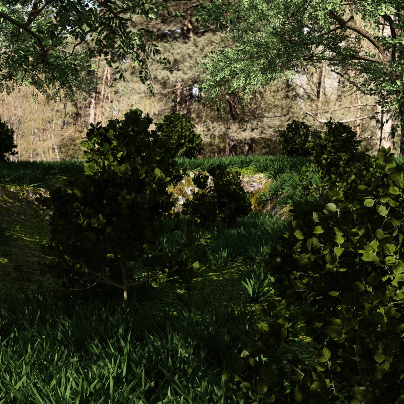 Forest Environment - Daz Content by Silvia Helena