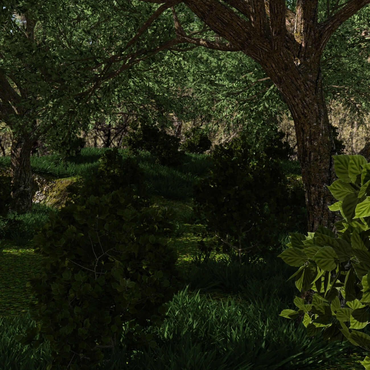 Forest Environment - Daz Content by Silvia Helena