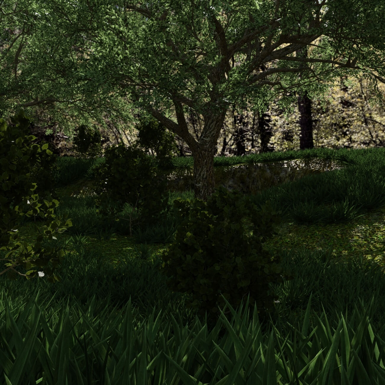 Forest Environment - Daz Content by Silvia Helena