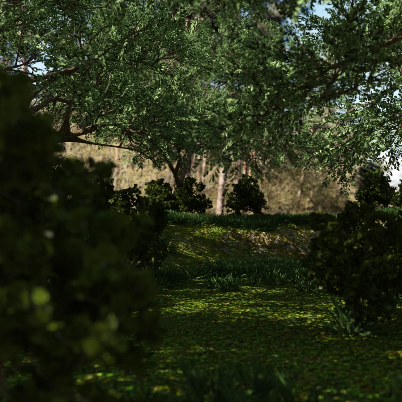 Forest Environment - Daz Content by Silvia Helena