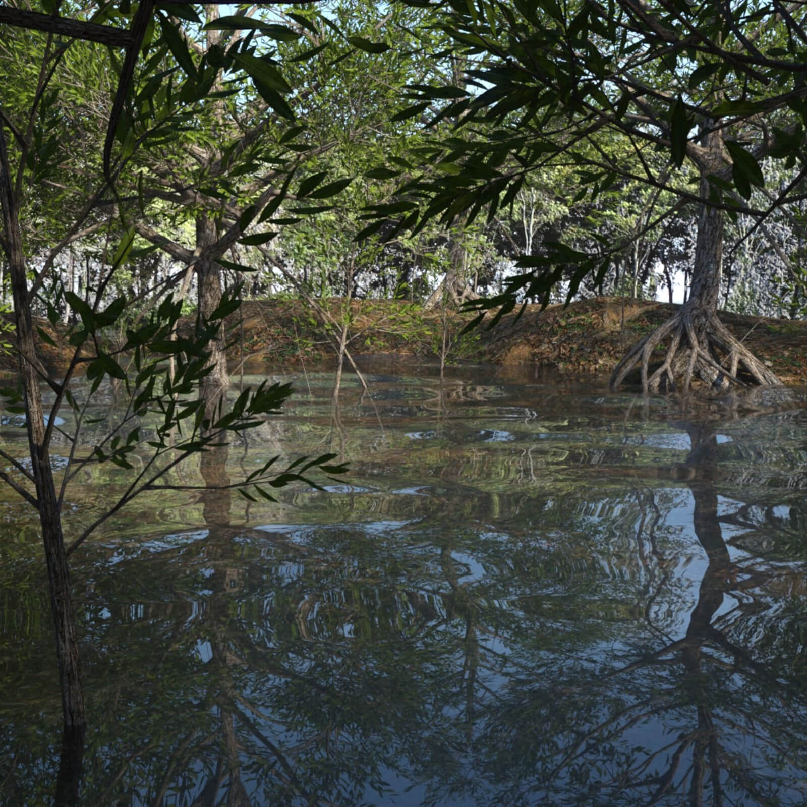 Mangrove DAZ Studio by Silvia Helena