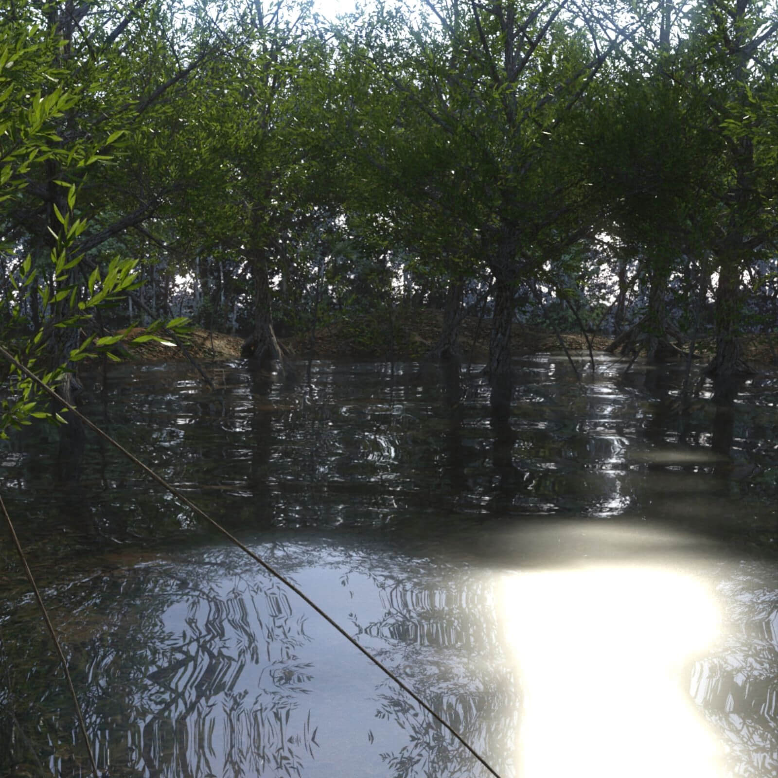 Mangrove DAZ Studio by Silvia Helena