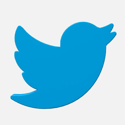 Twitter Bird Symbol - 3D Model by Simple3D