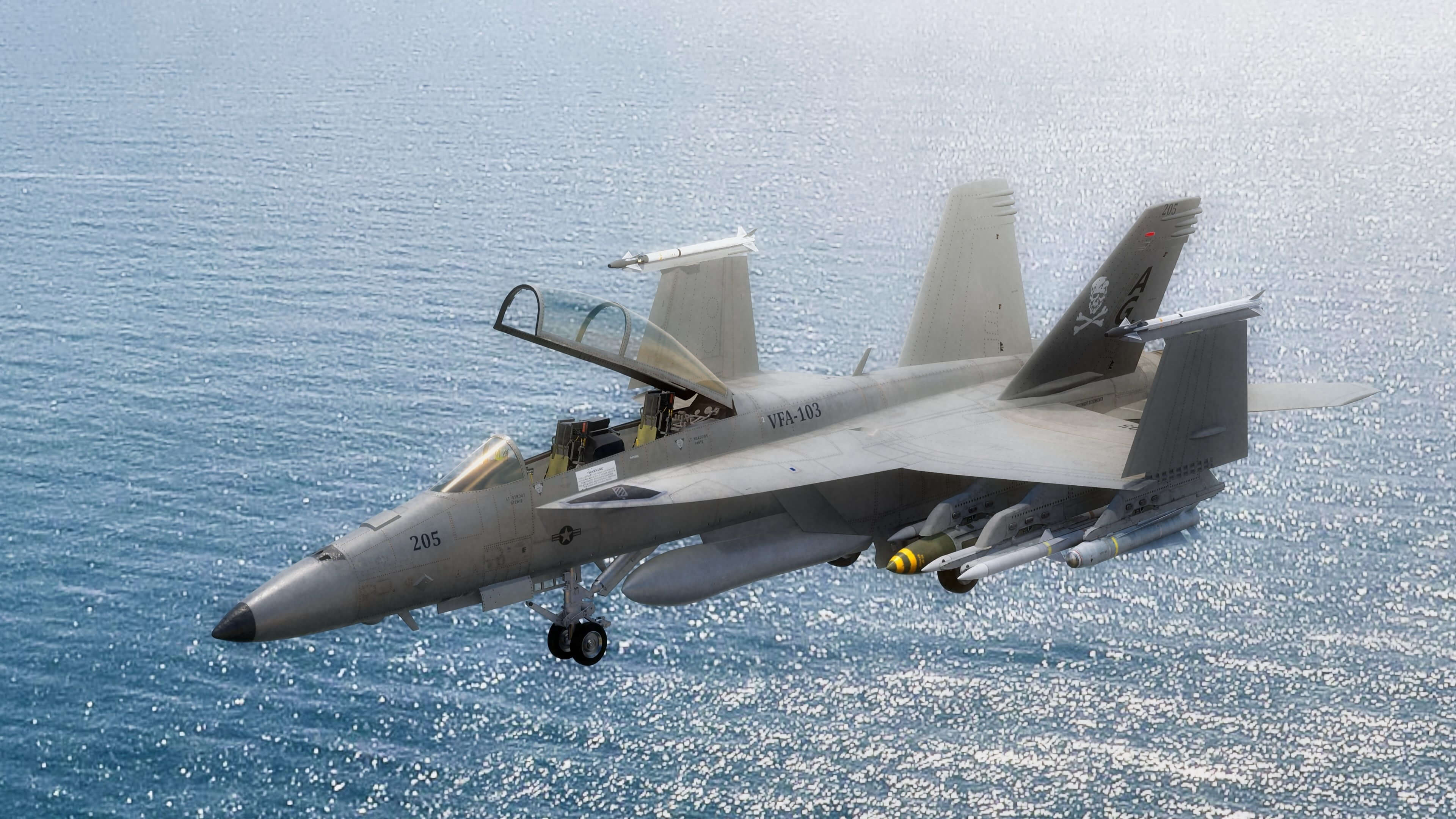 F18F Super Hornet-Rigged with Cockpit Changeable Decal-Text 3D Model by ...