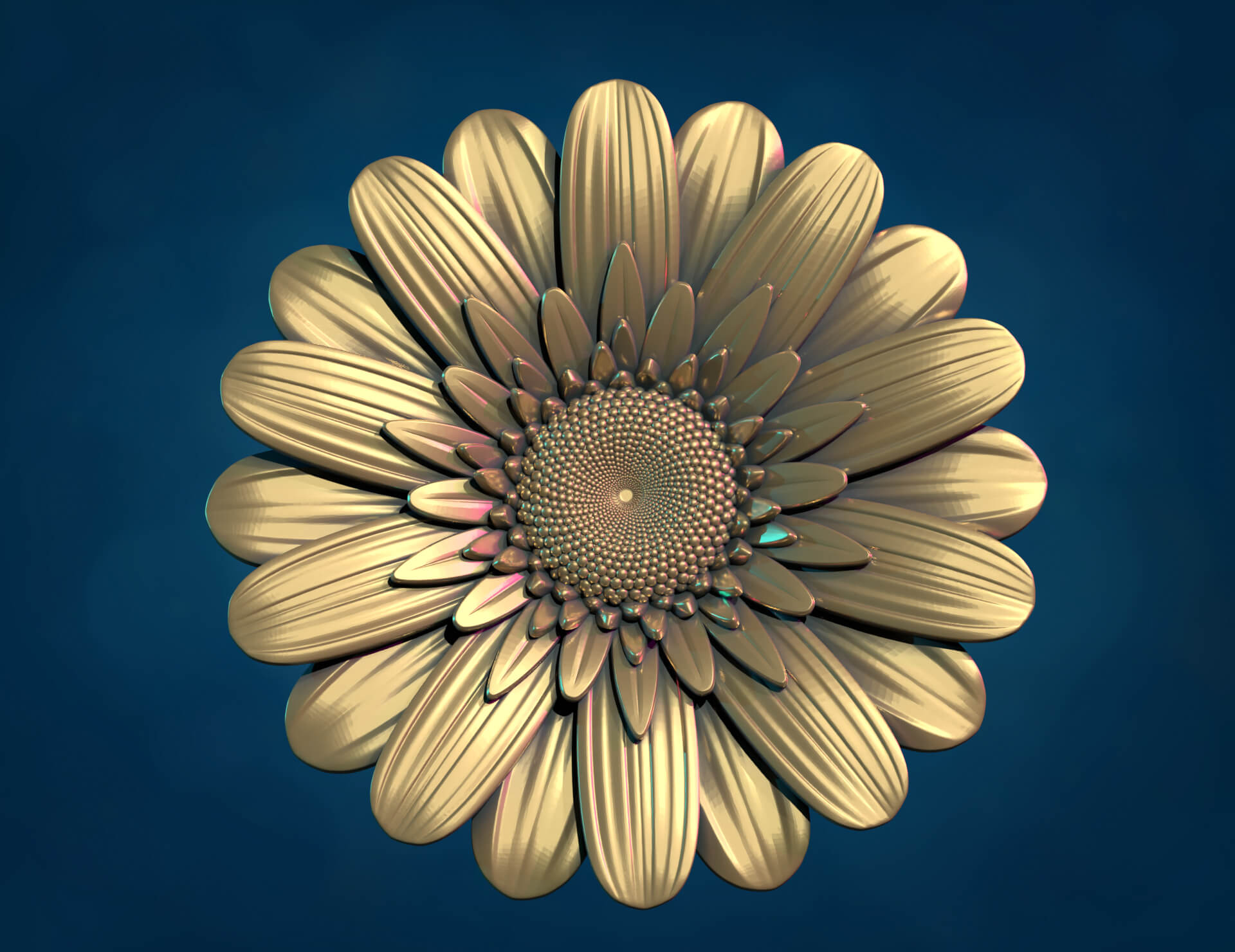 Daisy Gerbera Flower - 3D Model by Skazok