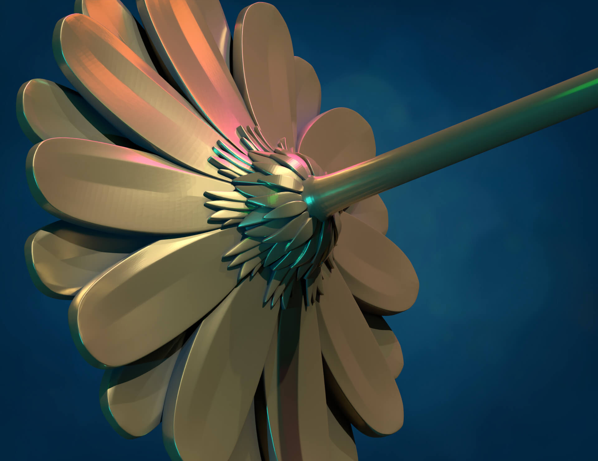 Daisy Gerbera Flower - 3D Model by Skazok