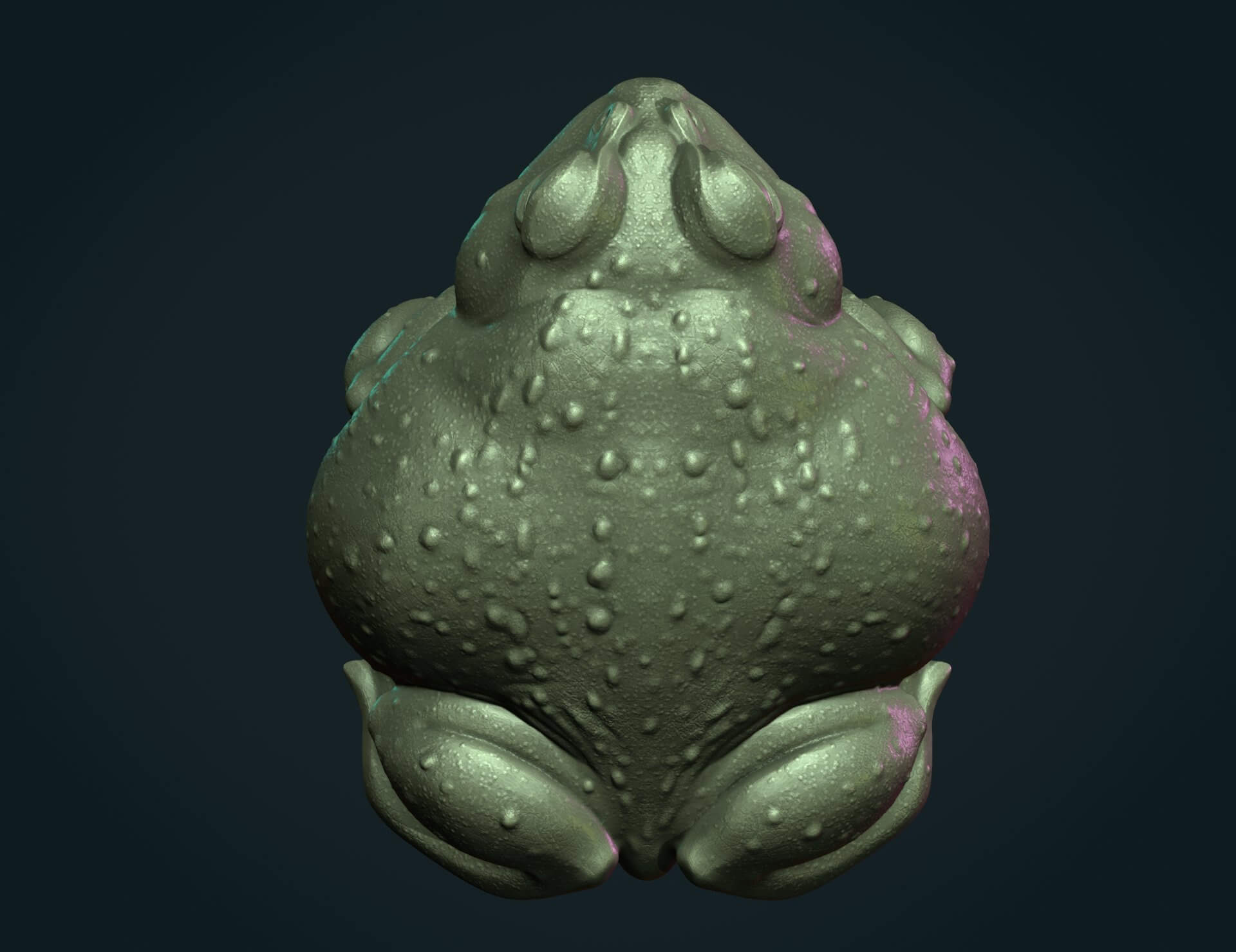 Fat Toad Frog - 3D Model by Skazok