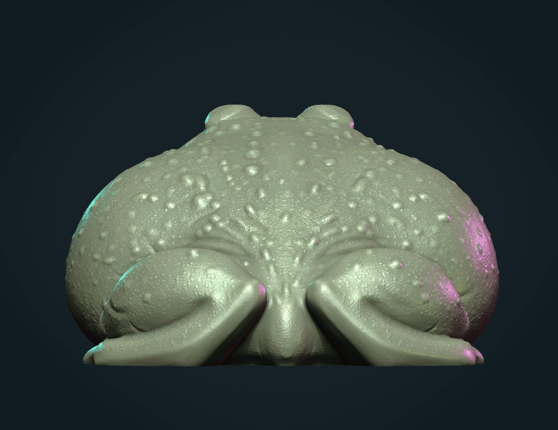 Fat Toad Frog - 3D Model by Skazok