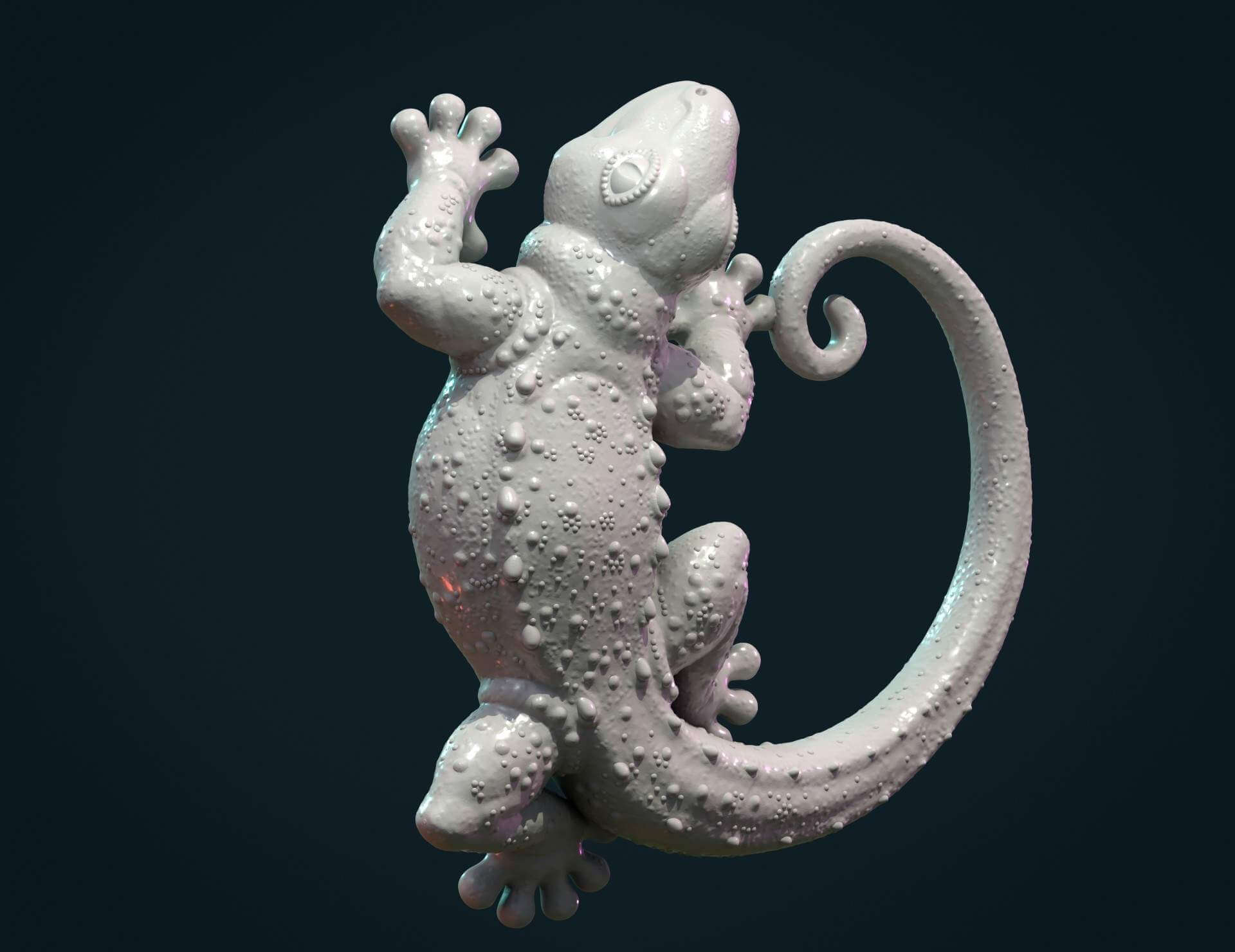 Gecko - 3D Model by Skazok