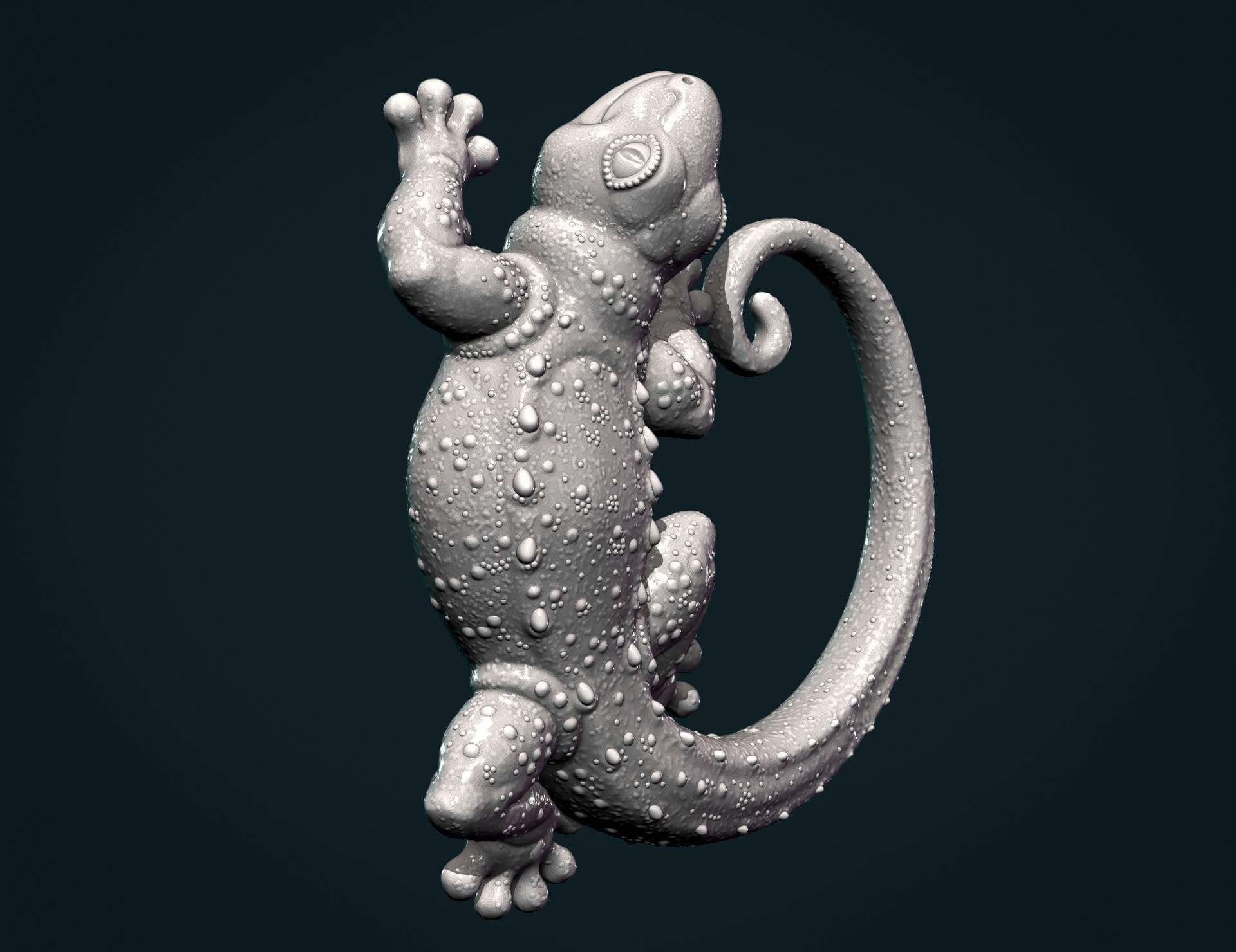 Gecko - 3D Model by Skazok