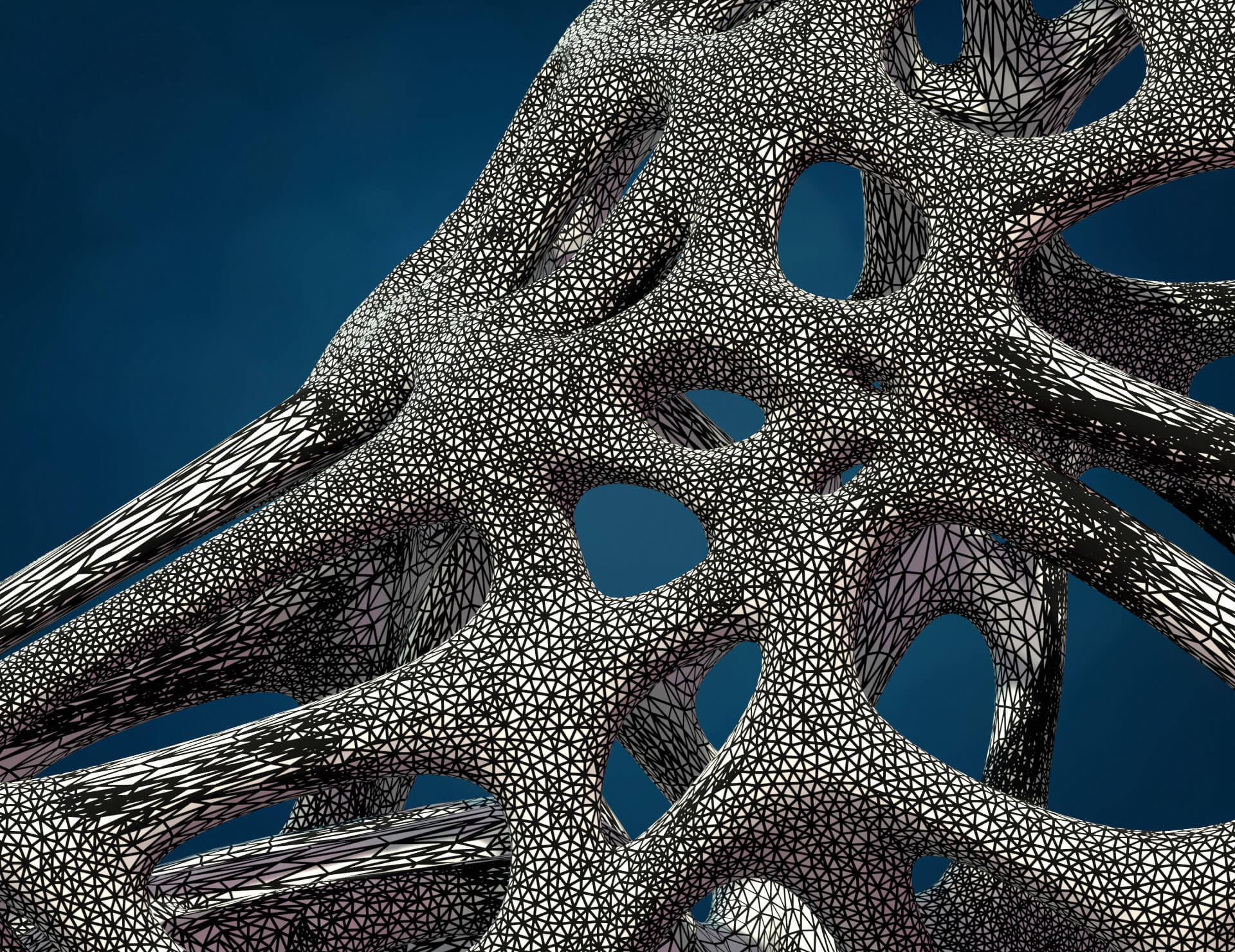 Mesh Wolf Head - 3D Model by Skazok