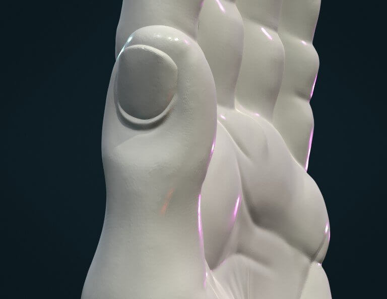 Palm Hand - 3D Model by Skazok