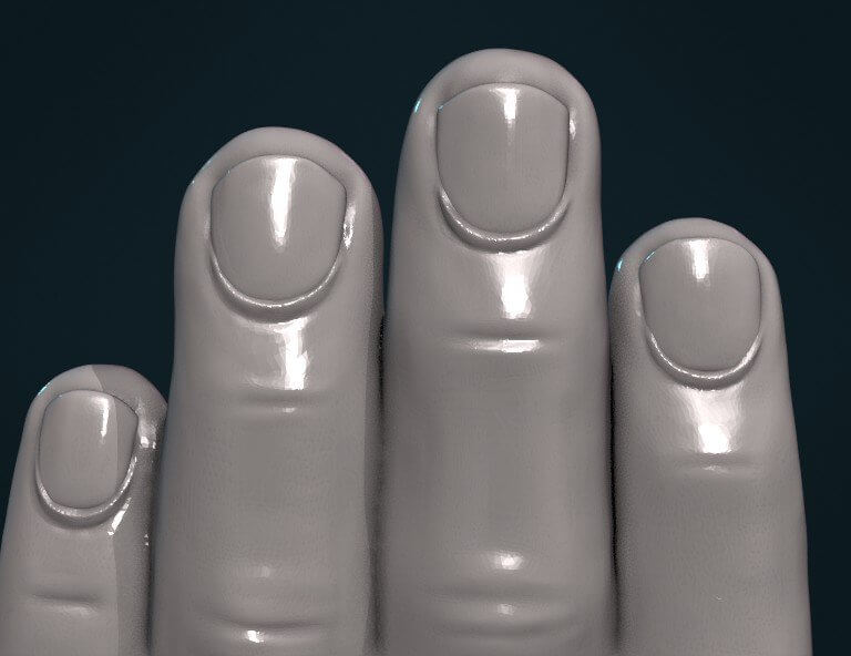 Palm Hand - 3D Model by Skazok