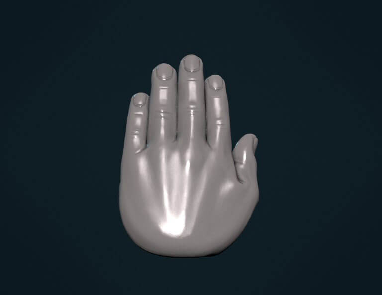 Palm Hand - 3D Model by Skazok