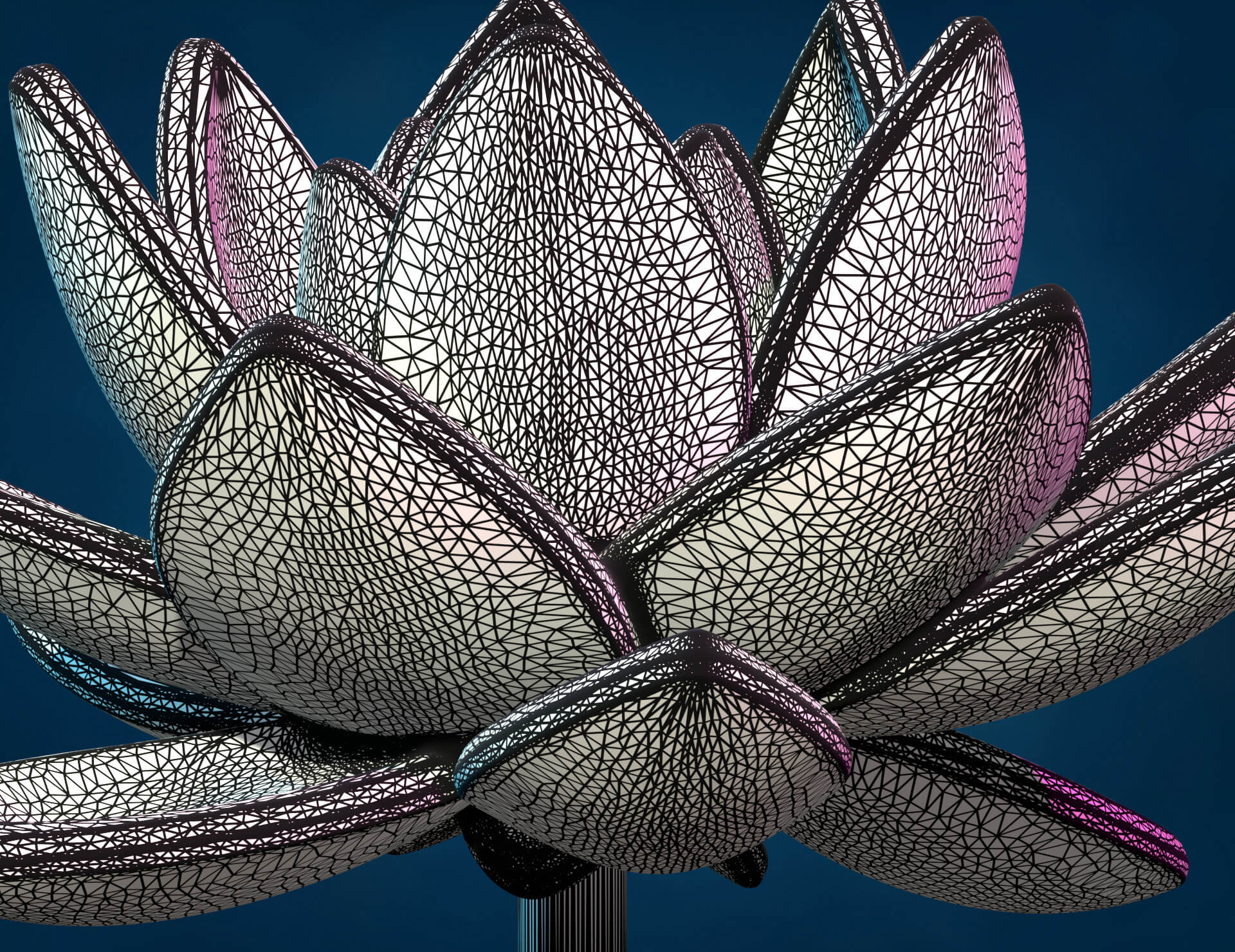 Water Lily Lotus Flower - 3D Model by Skazok